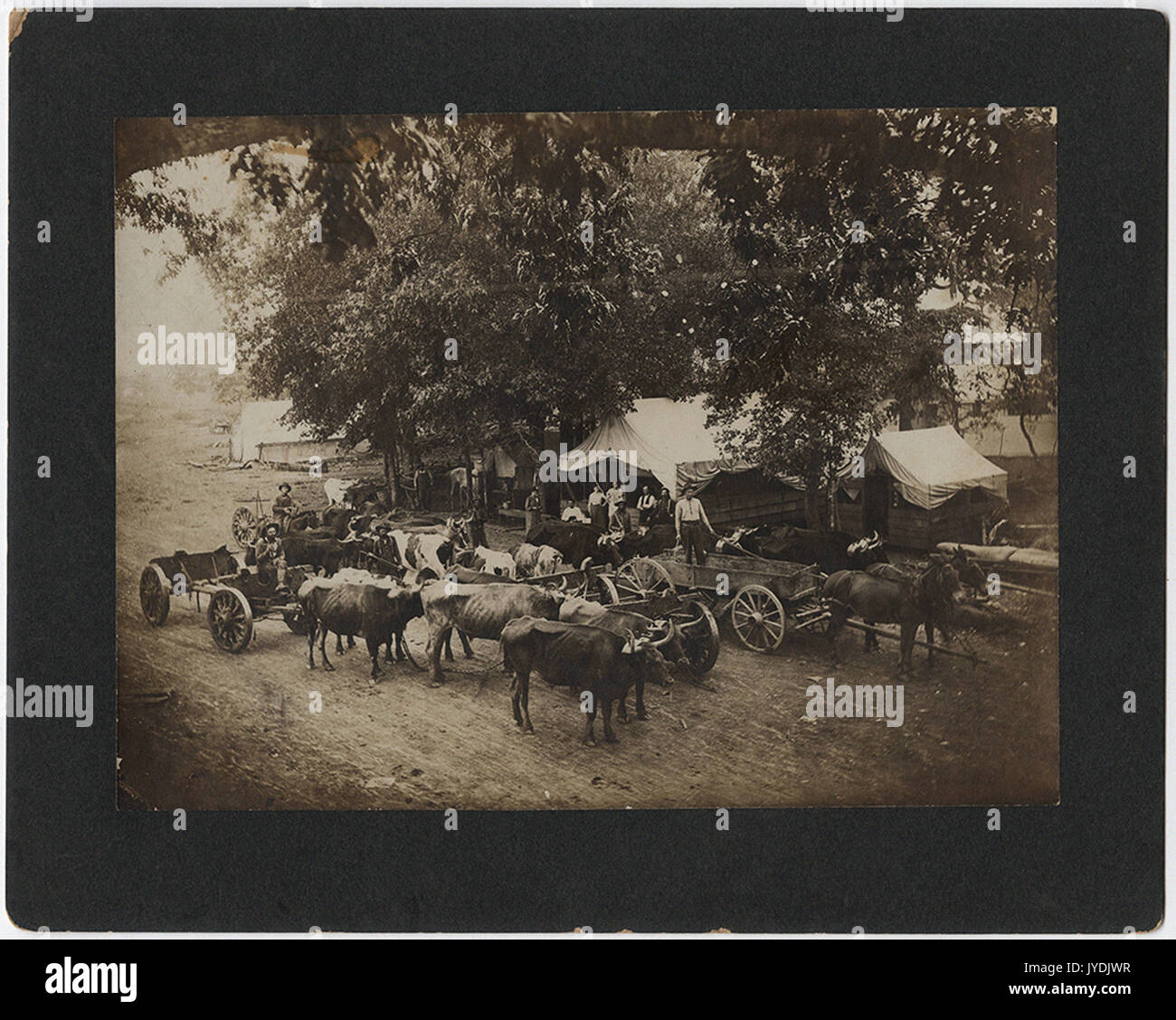 Teamsters camp, Batson, Texas Stock Photo - Alamy