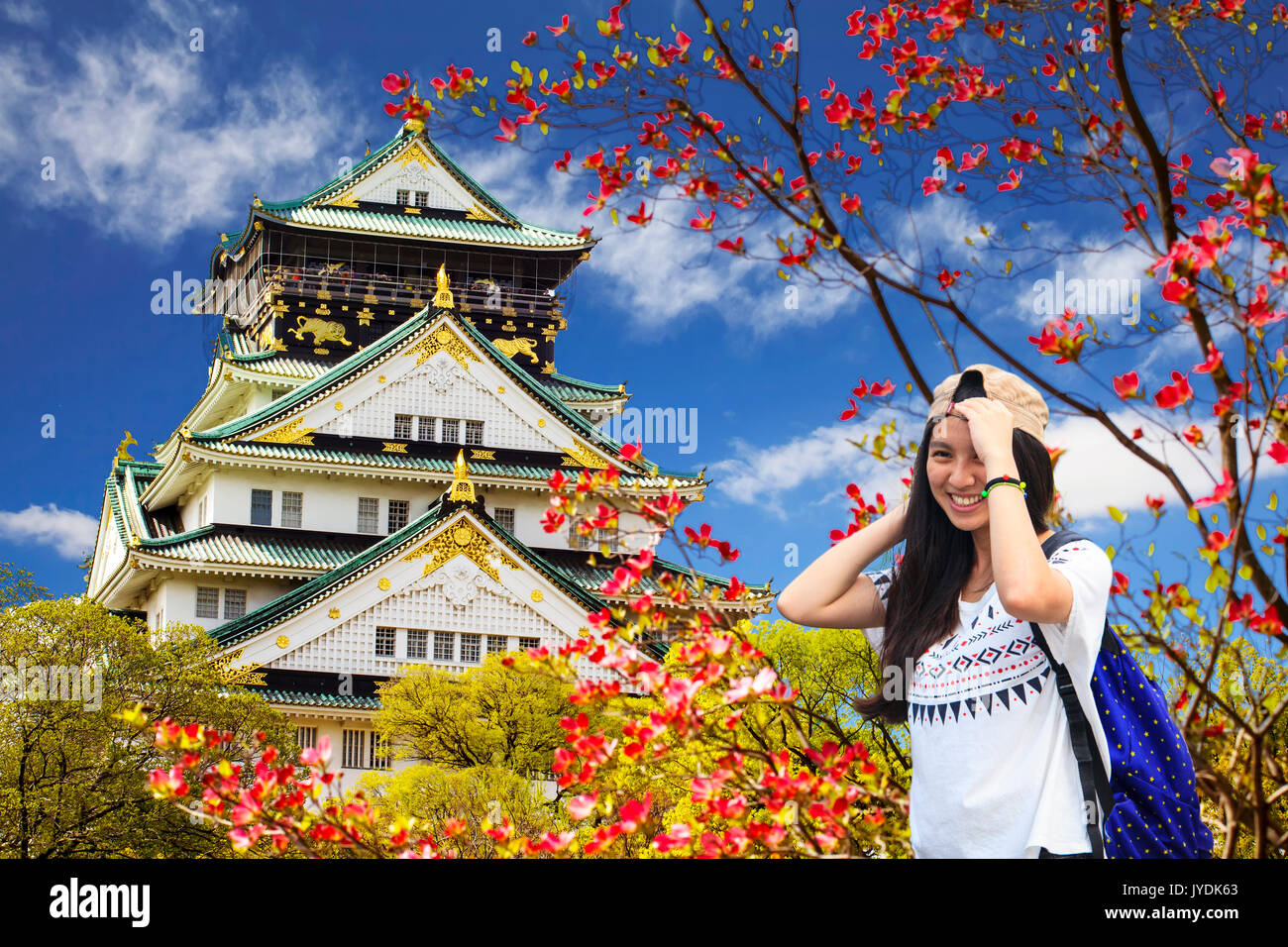 The beautiful Osaka Castle in Osaka with nice background, Japan Stock ...
