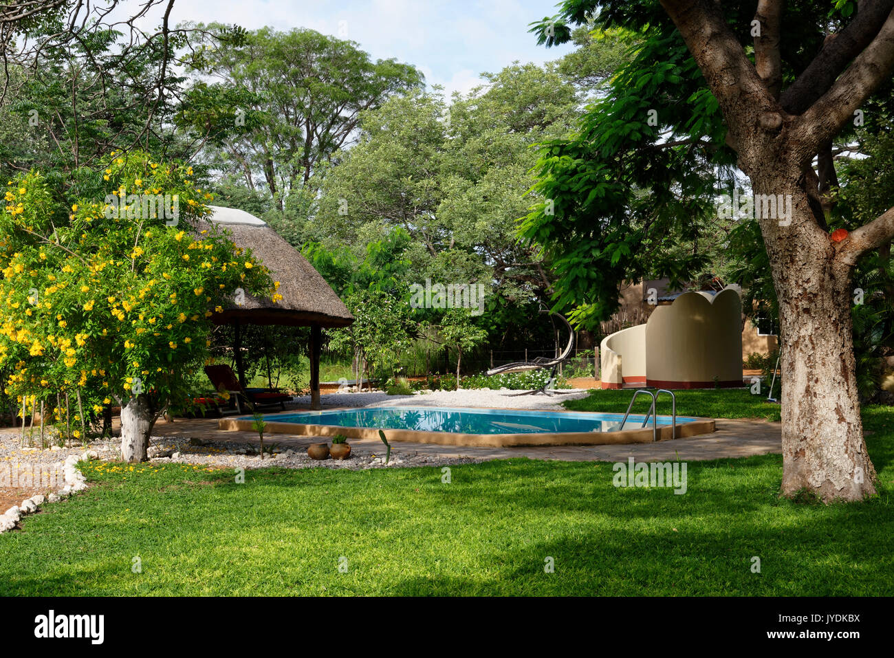 Guest and hunting farm Wildacker: Swimming pool in garden Grootfontein ...