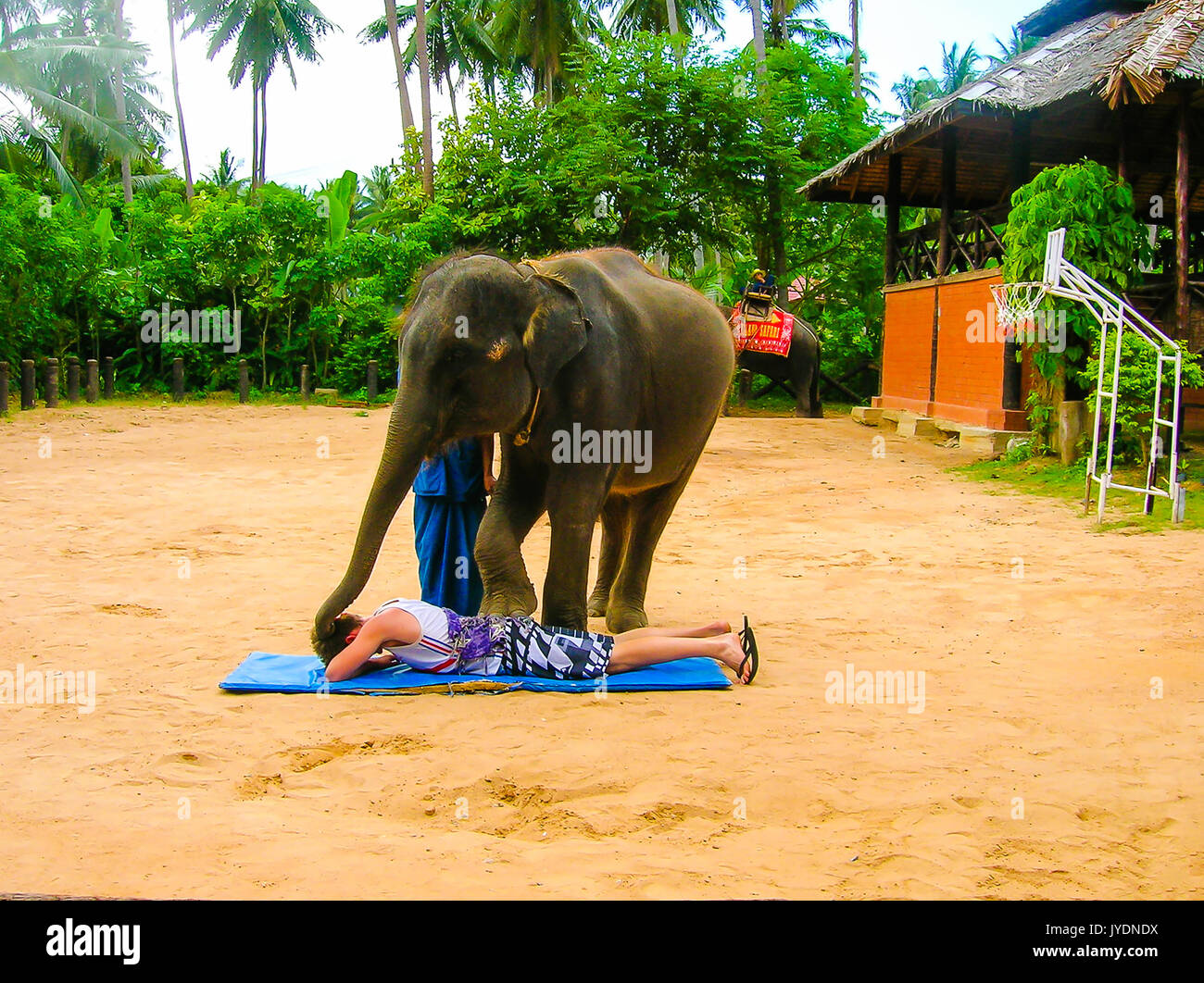 Koh Samui, Thailand - June 21, 2008: The young elephant doing tricks ...