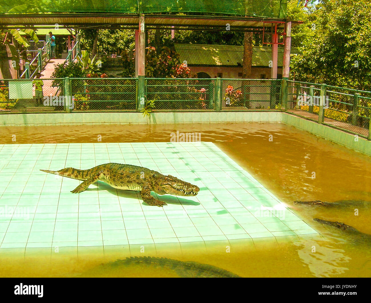 Zoo show performer hi-res stock photography and images - Alamy