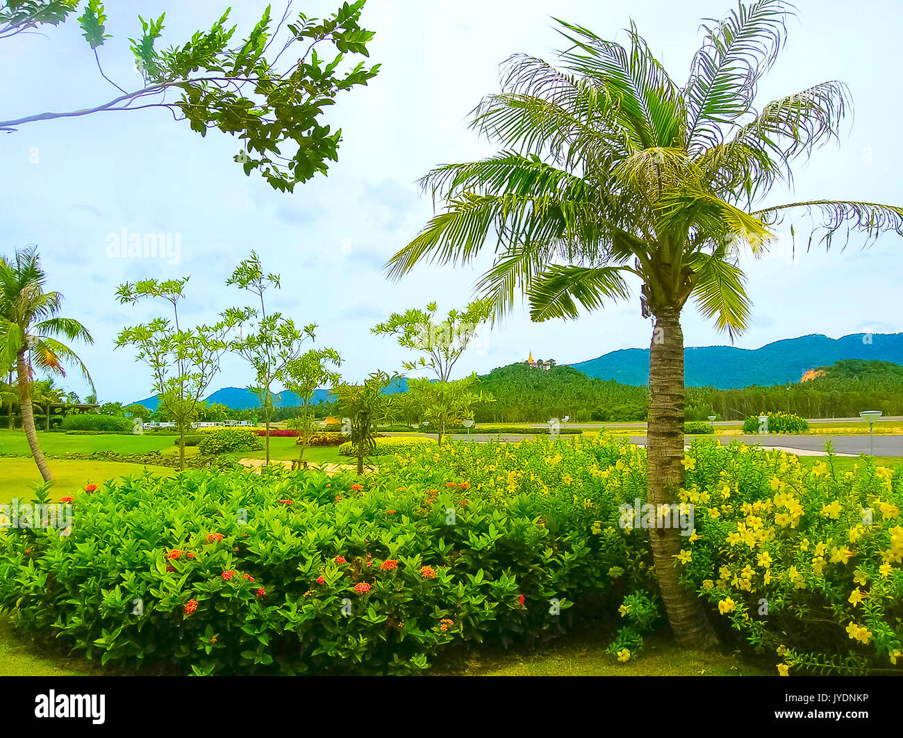 Samui airport hi-res stock photography and images - Alamy