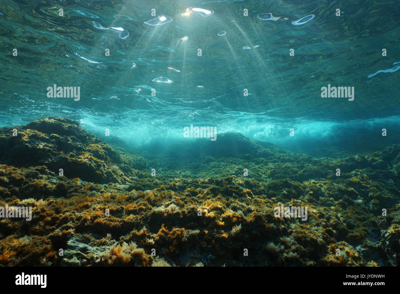 Water Underwater Sun Light