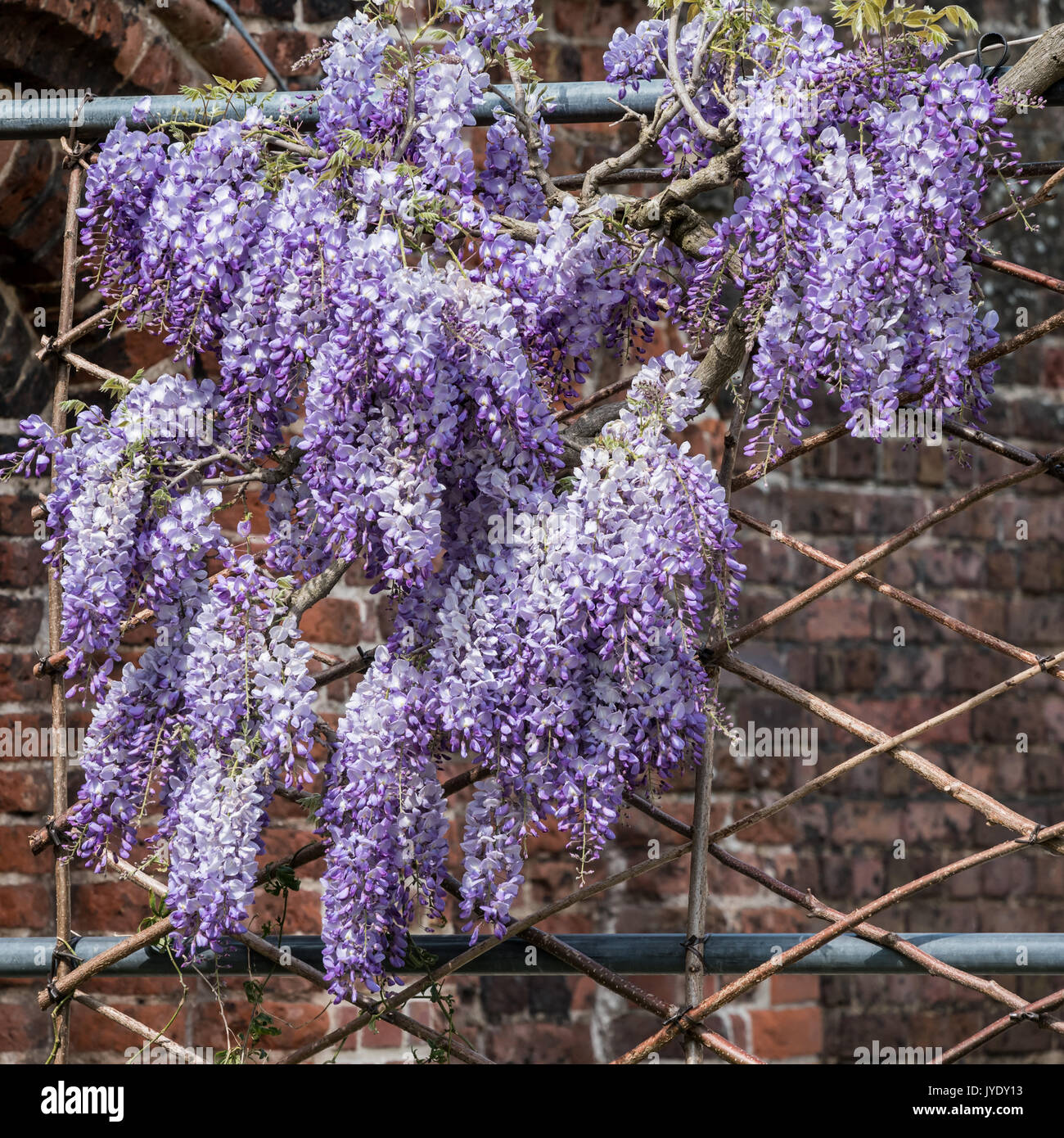 Fulham Palace - Palace of the Bishops of London Stock Photo - Alamy