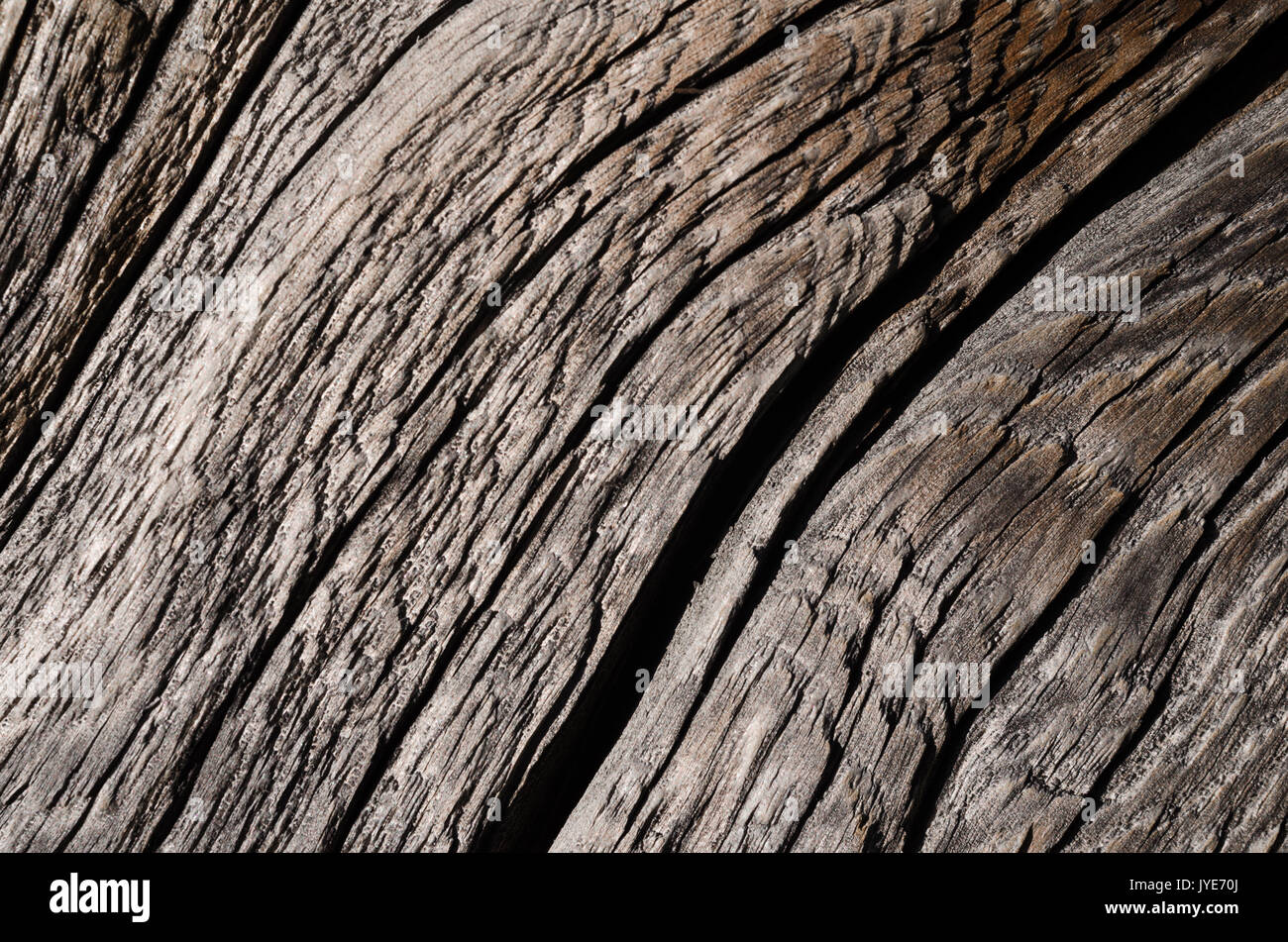 The texture of old dark wooden board with deep cracks and shallow ...