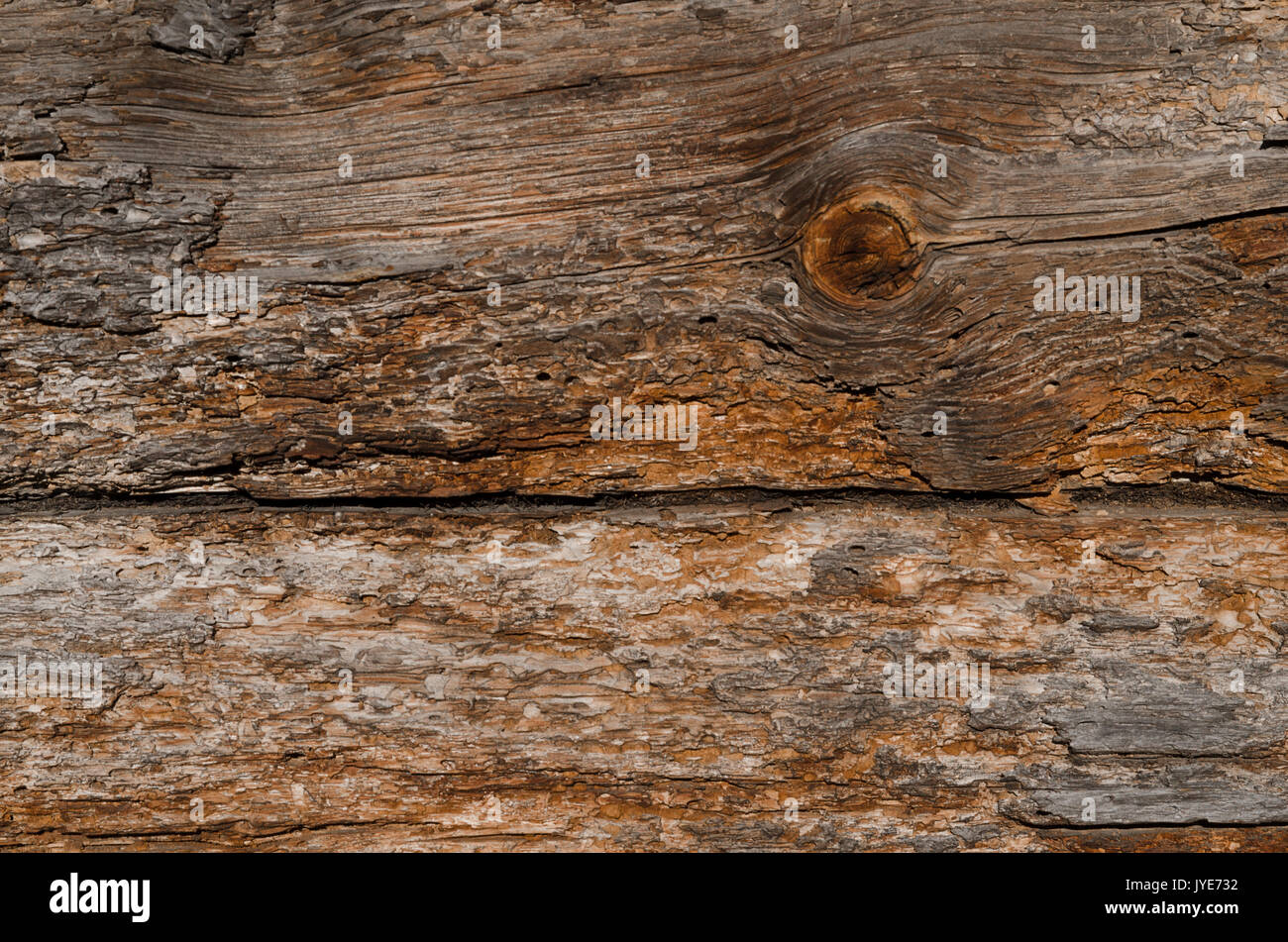 The texture, a very old wooden brown board with dark spots, is peeling ...