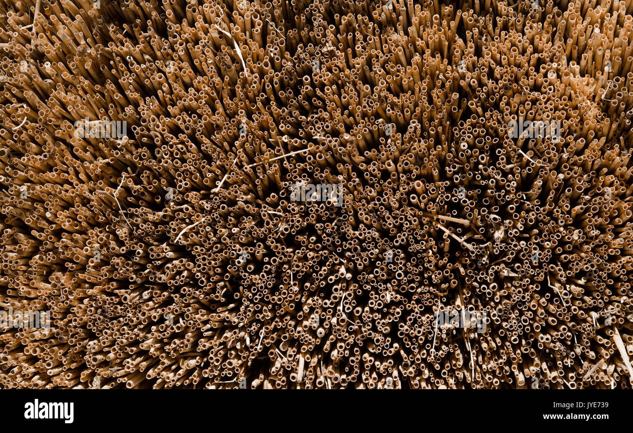 Texture, yellow thatched roof close up. Horizontal photo, wallpaper ...