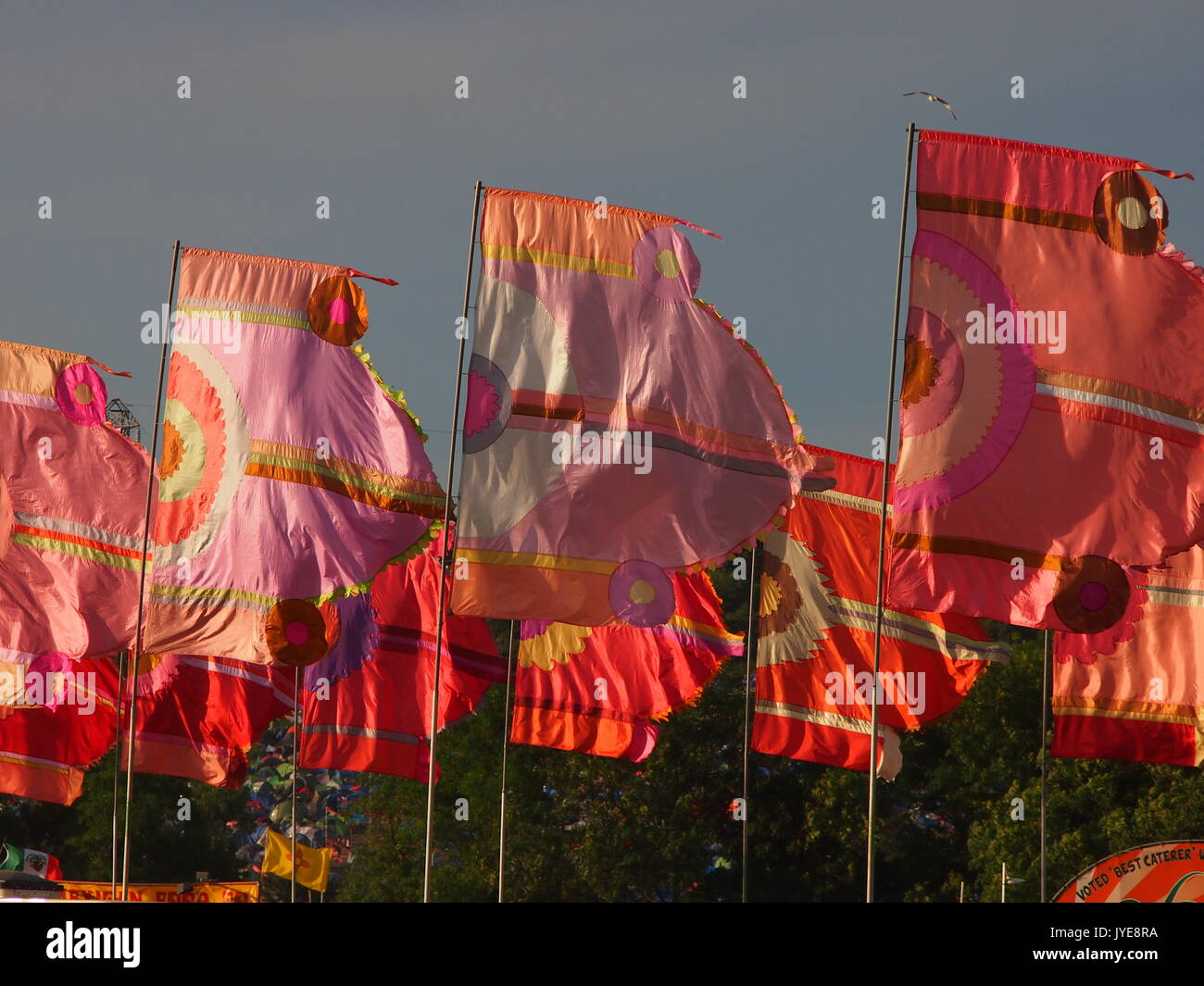 Colourful music festival flags at sunset Stock Photo - Alamy