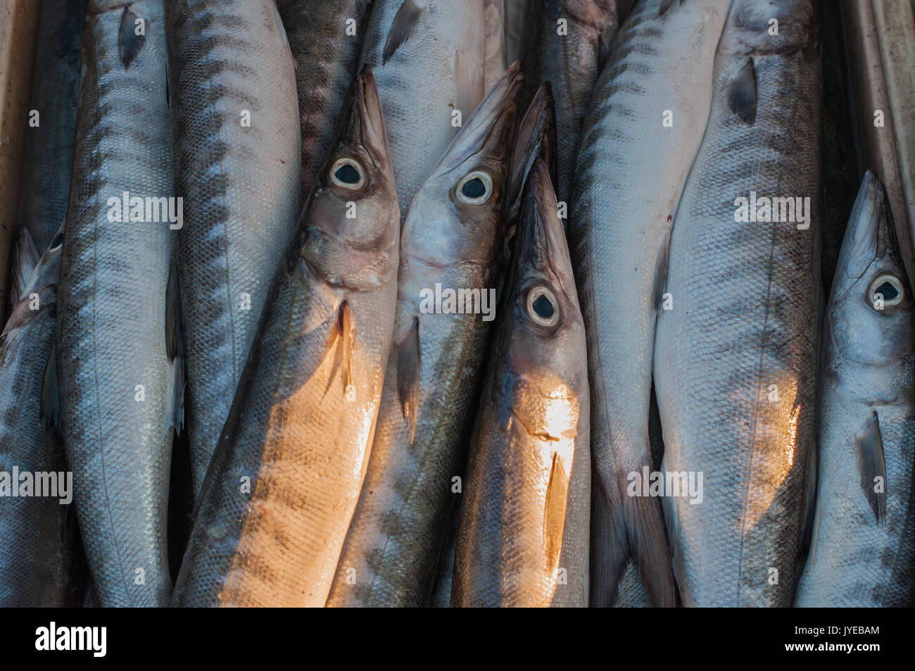 Pile of fish hi-res stock photography and images - Alamy