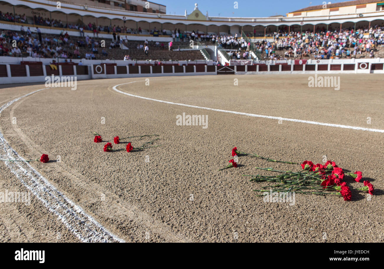 Offering in the bullring of Linares during the anniversary of the death ...