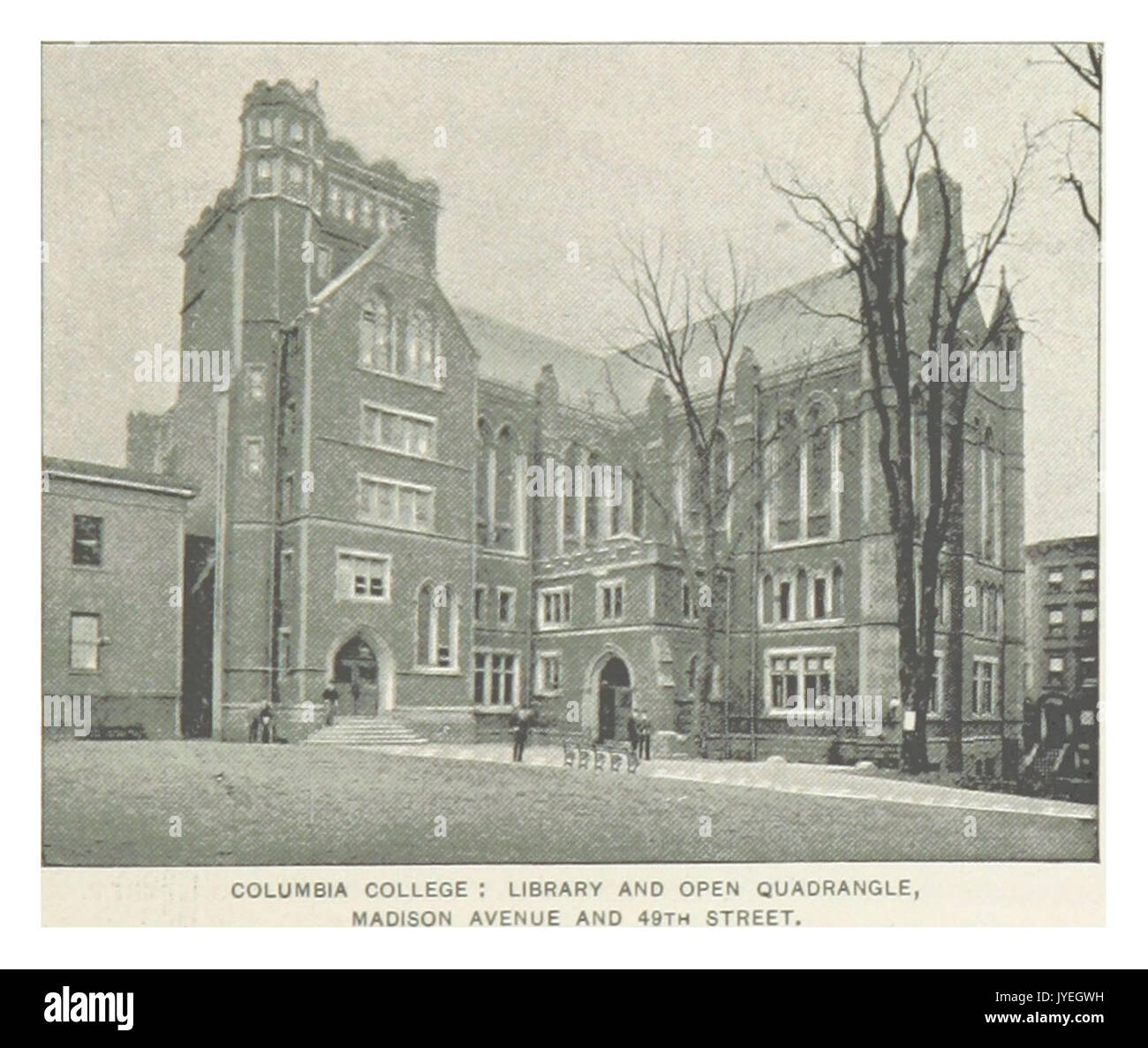 Madison ivy hi-res stock photography and images - Alamy