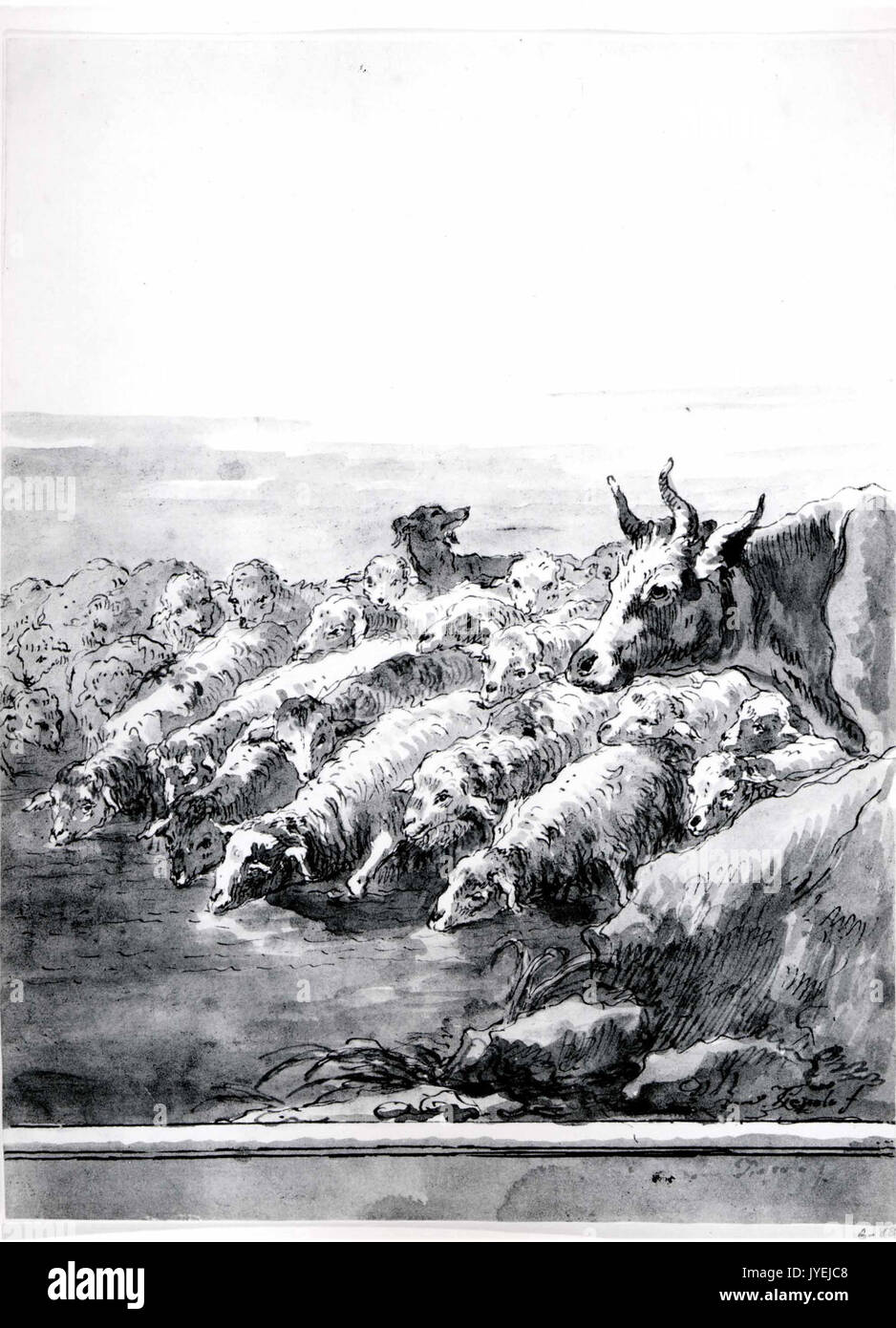 A Flock of Sheep Drinking at a Pool, with a Bullock and a Dog MET SF ...