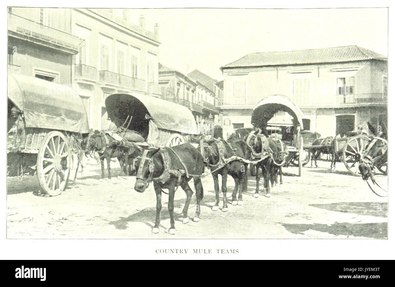 CLARK(1899) Cuba p479 COUNTRY MULE TEAMS Stock Photo - Alamy