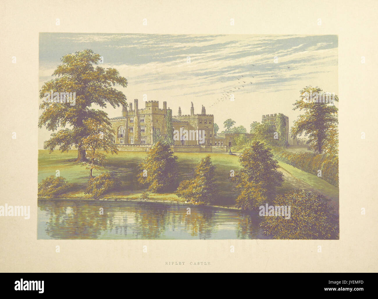 Ripley county map hi-res stock photography and images - Alamy