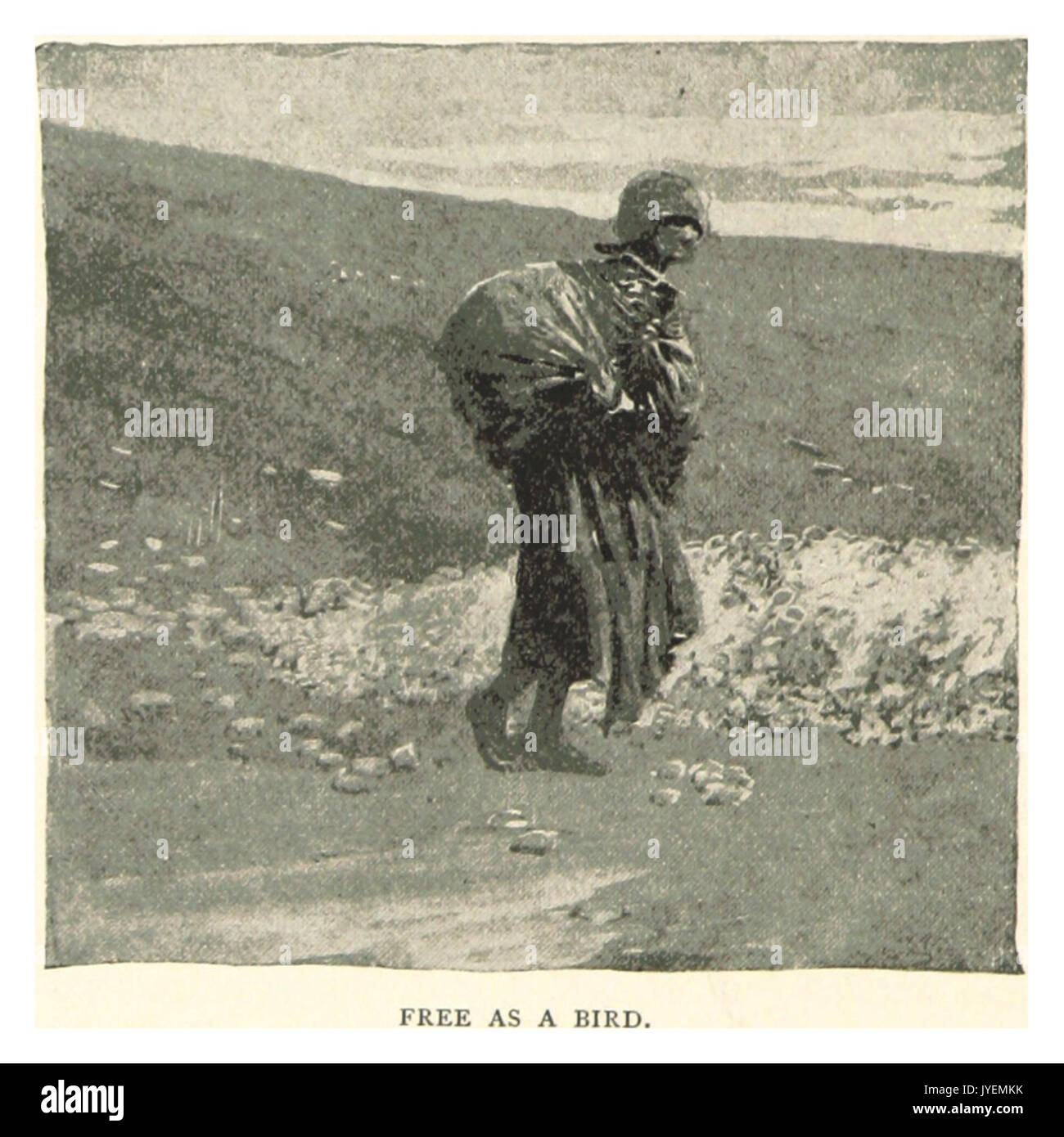 Ink style bird drawing Cut Out Stock Images & Pictures - Alamy