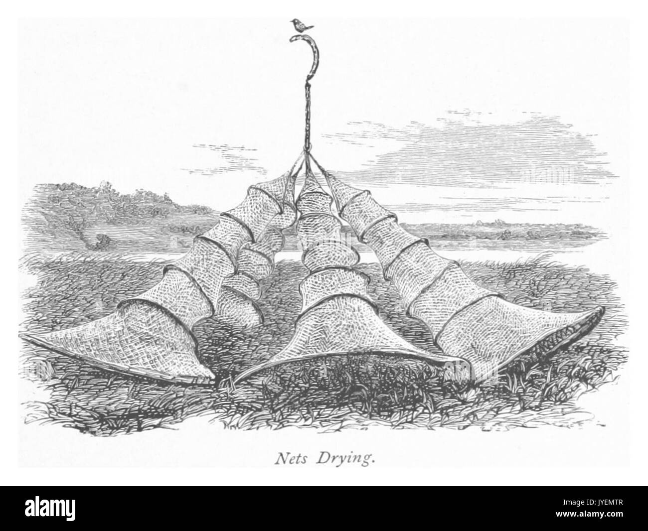 With nets Cut Out Stock Images & Pictures - Alamy