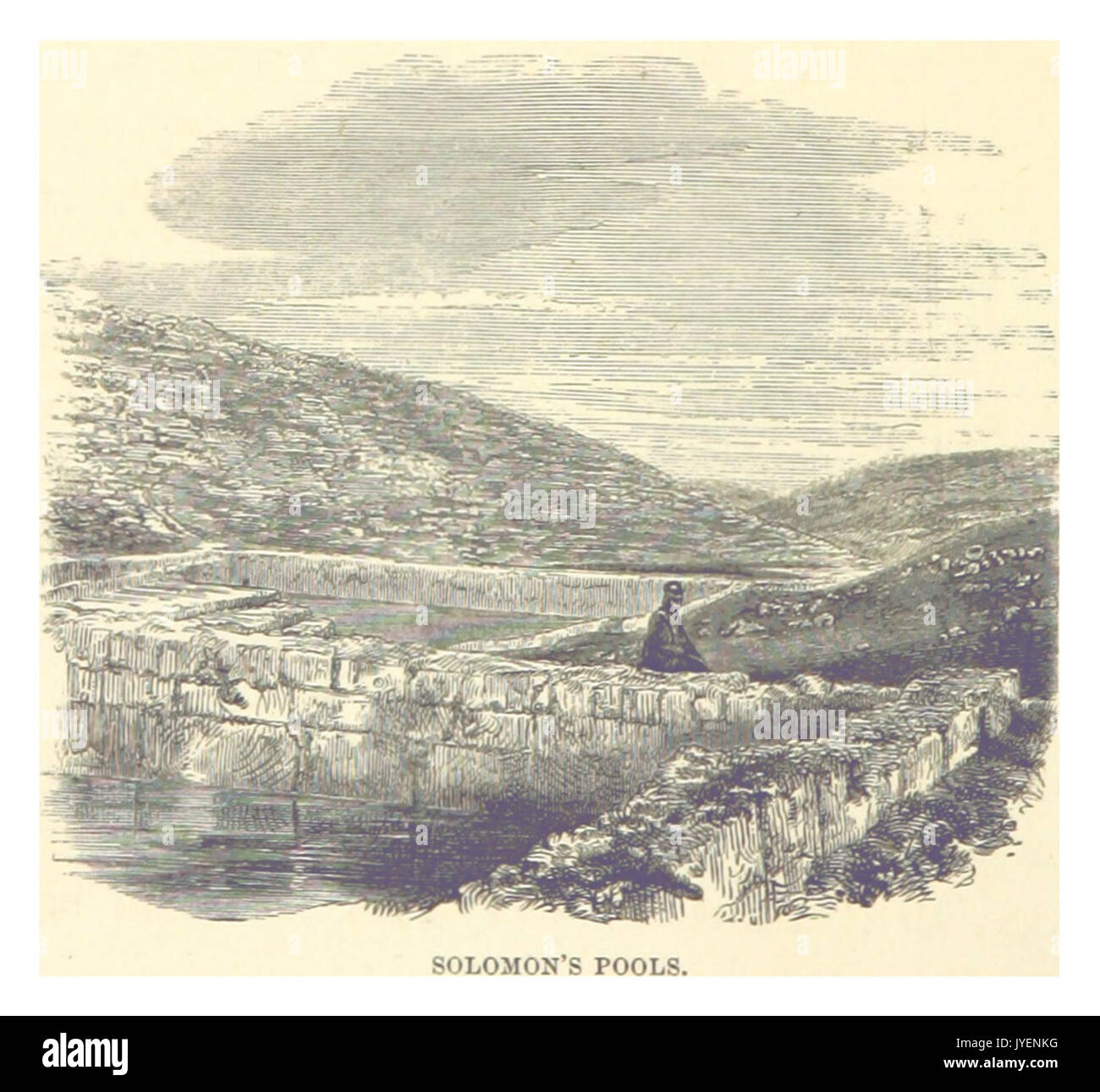 Solomon’s pools hi-res stock photography and images - Alamy