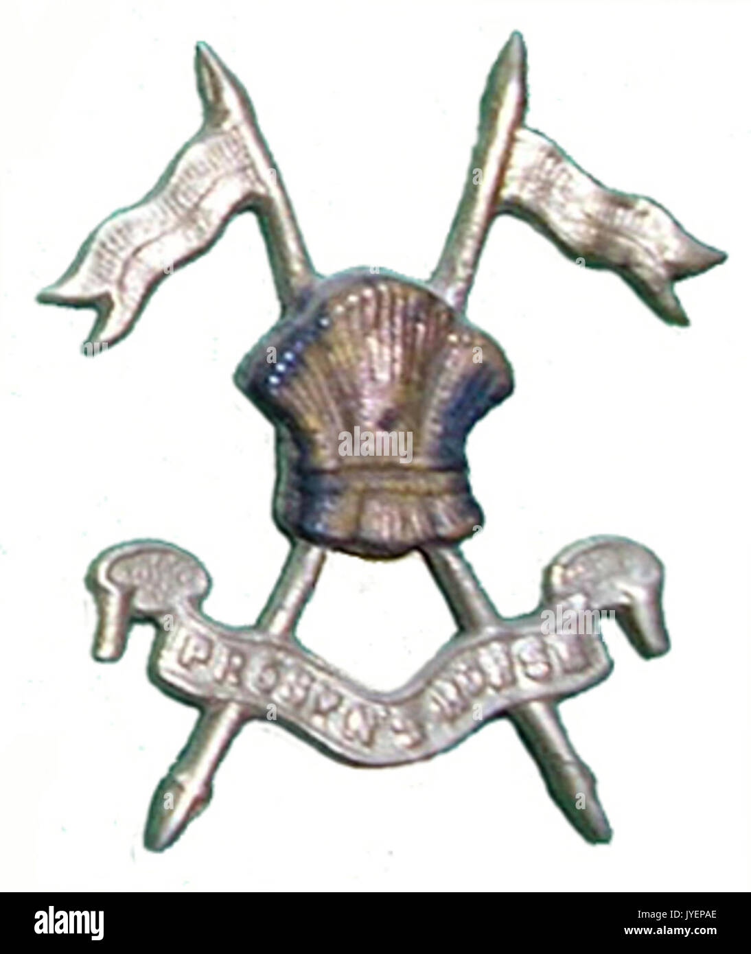 Images horse Cut Out Stock Images & Pictures - Alamy