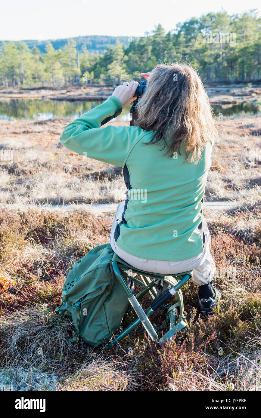 Bird watching wetland hi-res stock photography and images - Alamy