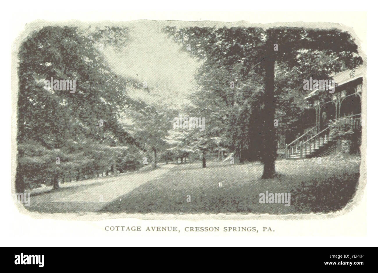 Regional avenue Cut Out Stock Images & Pictures - Alamy