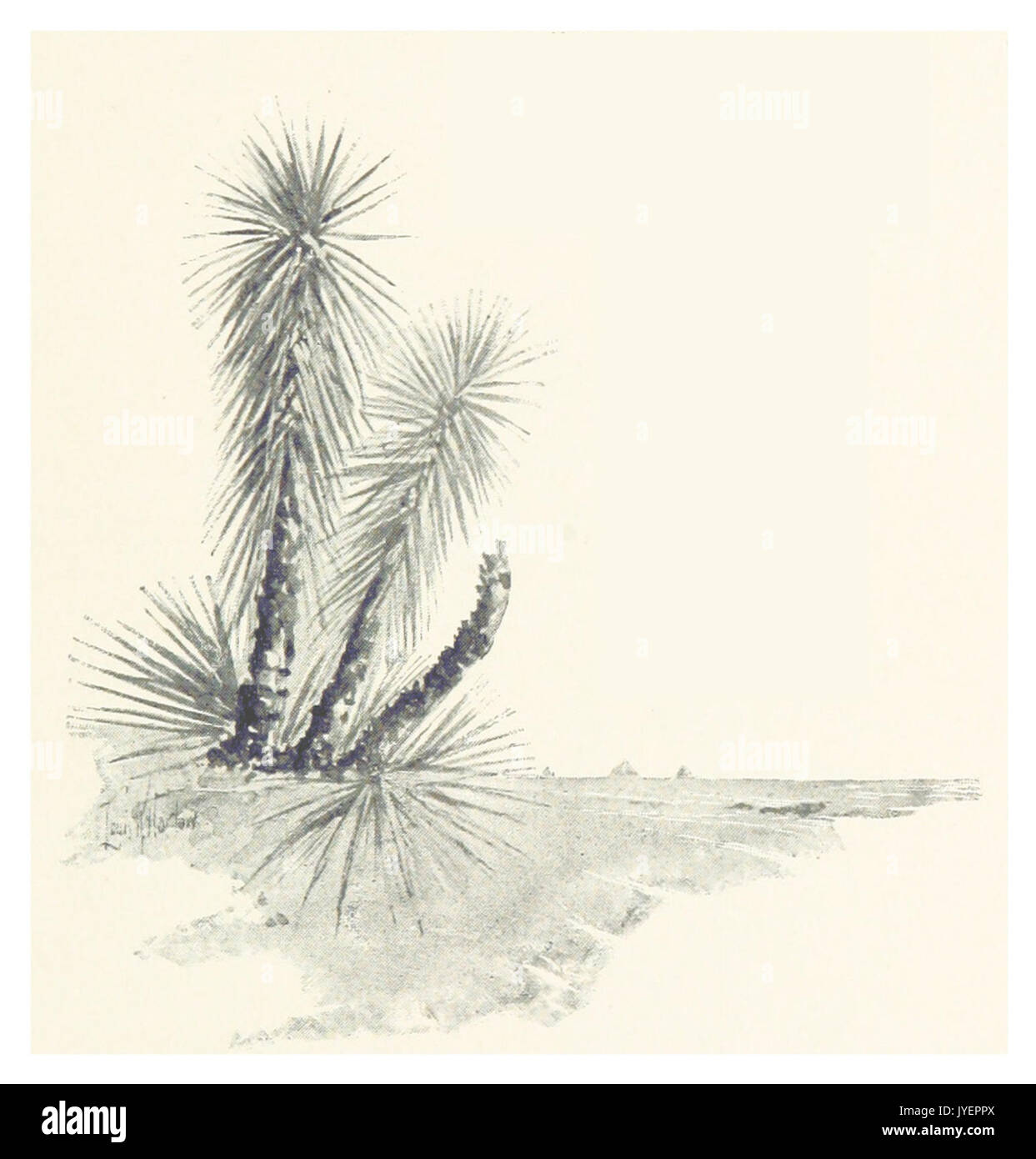 American spanish war Cut Out Stock Images & Pictures - Alamy