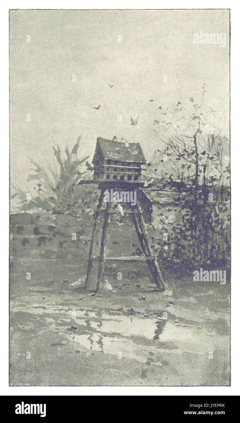 Back yard outdoor Cut Out Stock Images & Pictures - Alamy