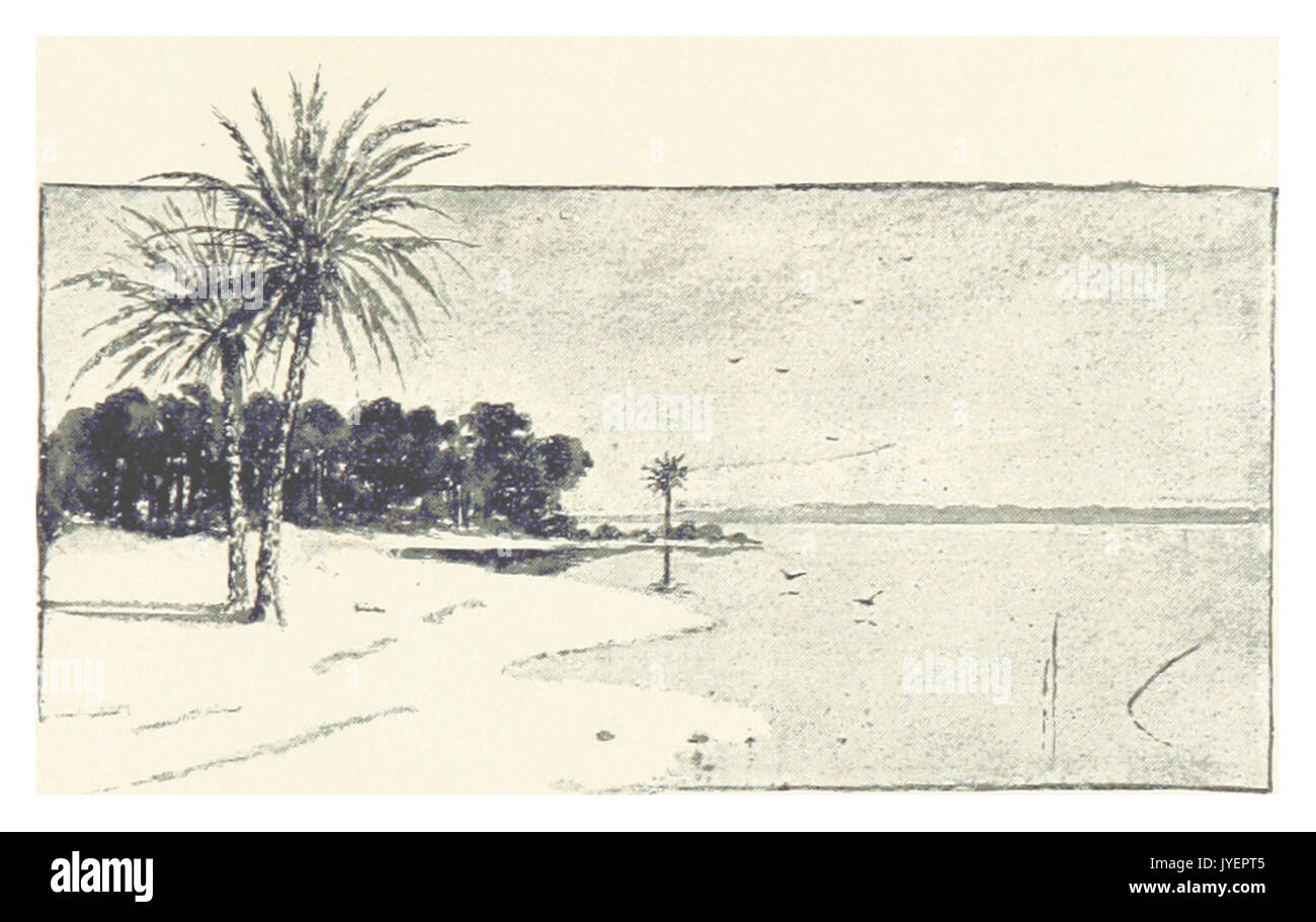 Natural florida Cut Out Stock Images & Pictures - Alamy