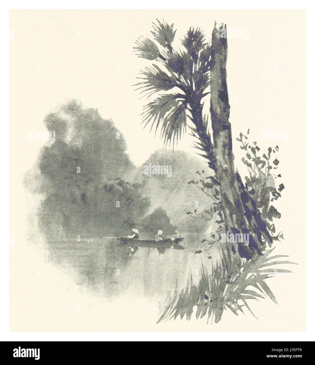 Coastal florida landscape Cut Out Stock Images & Pictures - Alamy