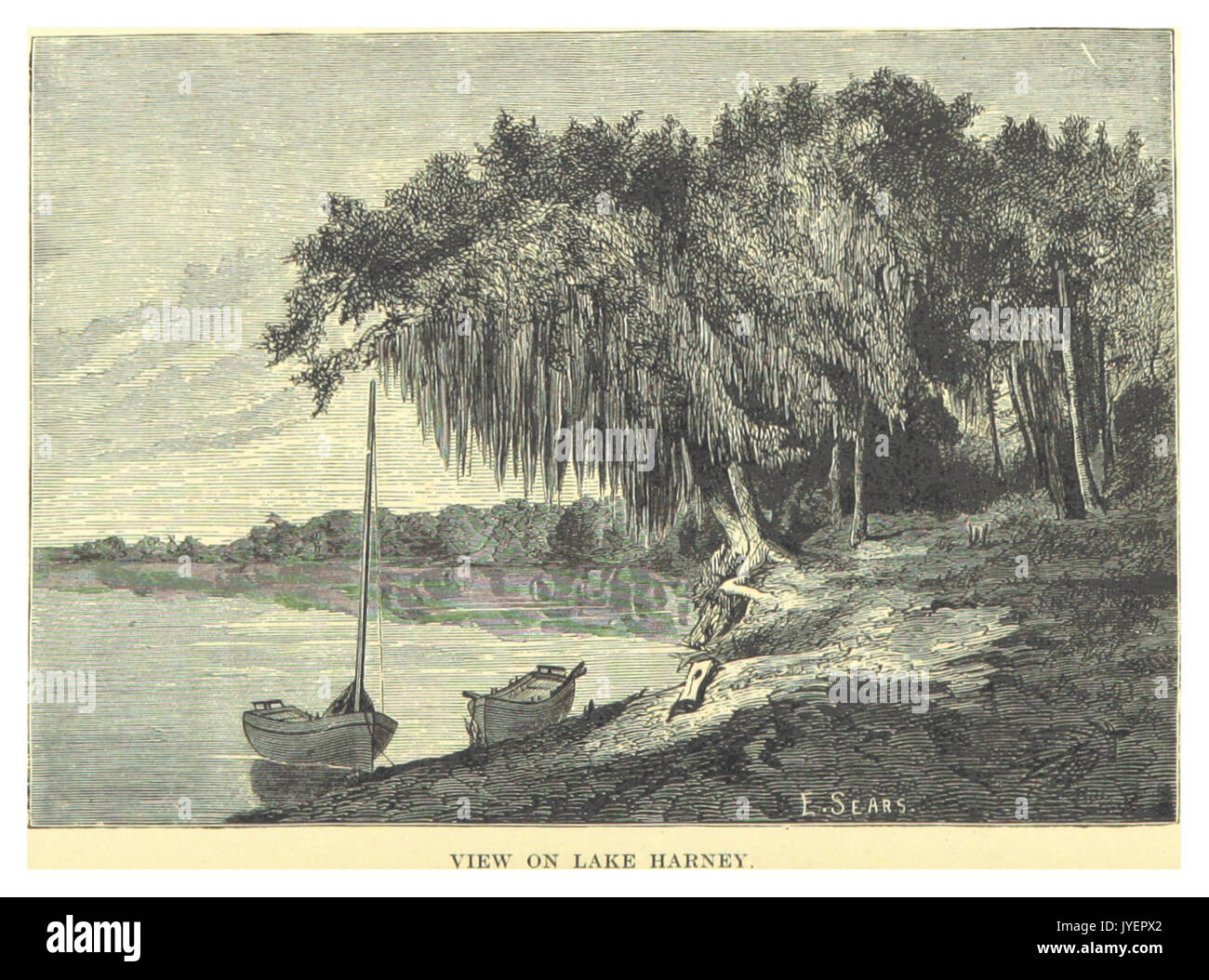 Harney map hi-res stock photography and images - Alamy