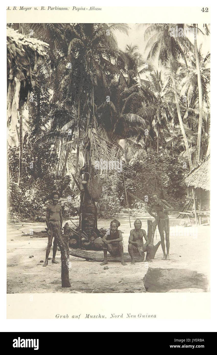 PAPUA Typen, Tafel 42 Stock Photo - Alamy