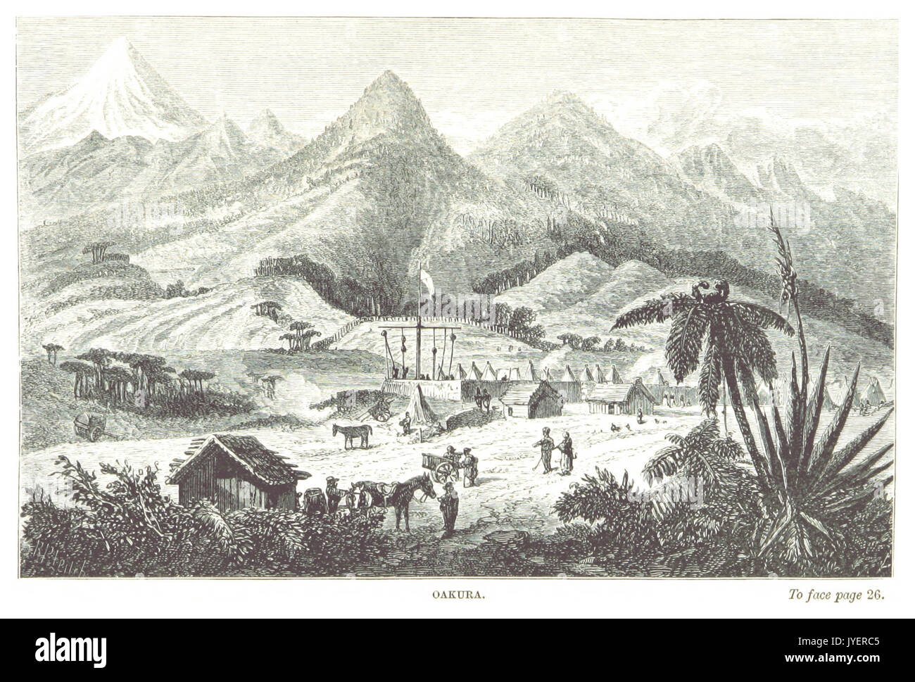 Oakura hi-res stock photography and images - Alamy