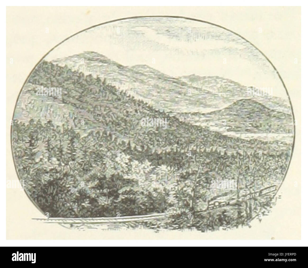 Us nature photography Cut Out Stock Images & Pictures - Alamy