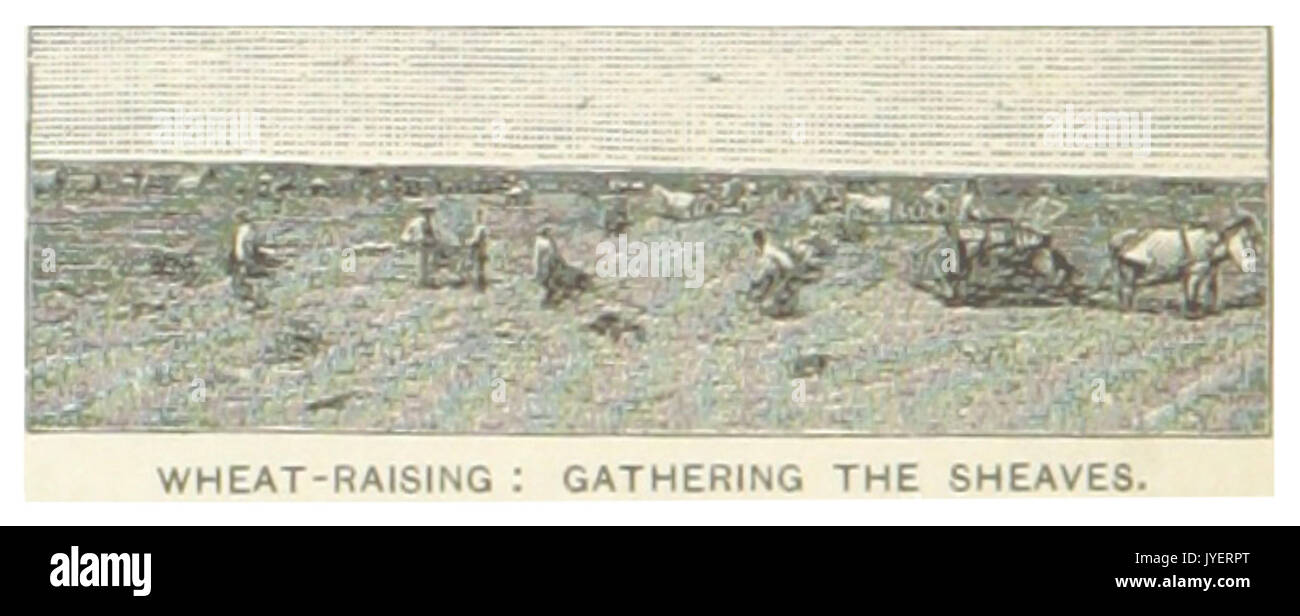 Gathering the sheaves hi-res stock photography and images - Alamy