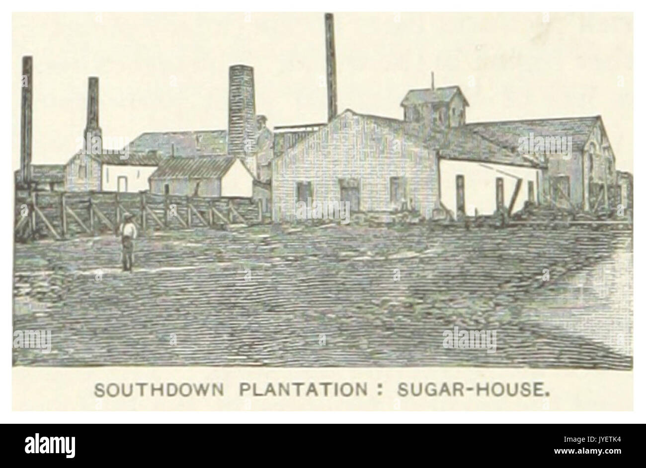 The sugar plantation industry of louisiana hi-res stock photography and ...