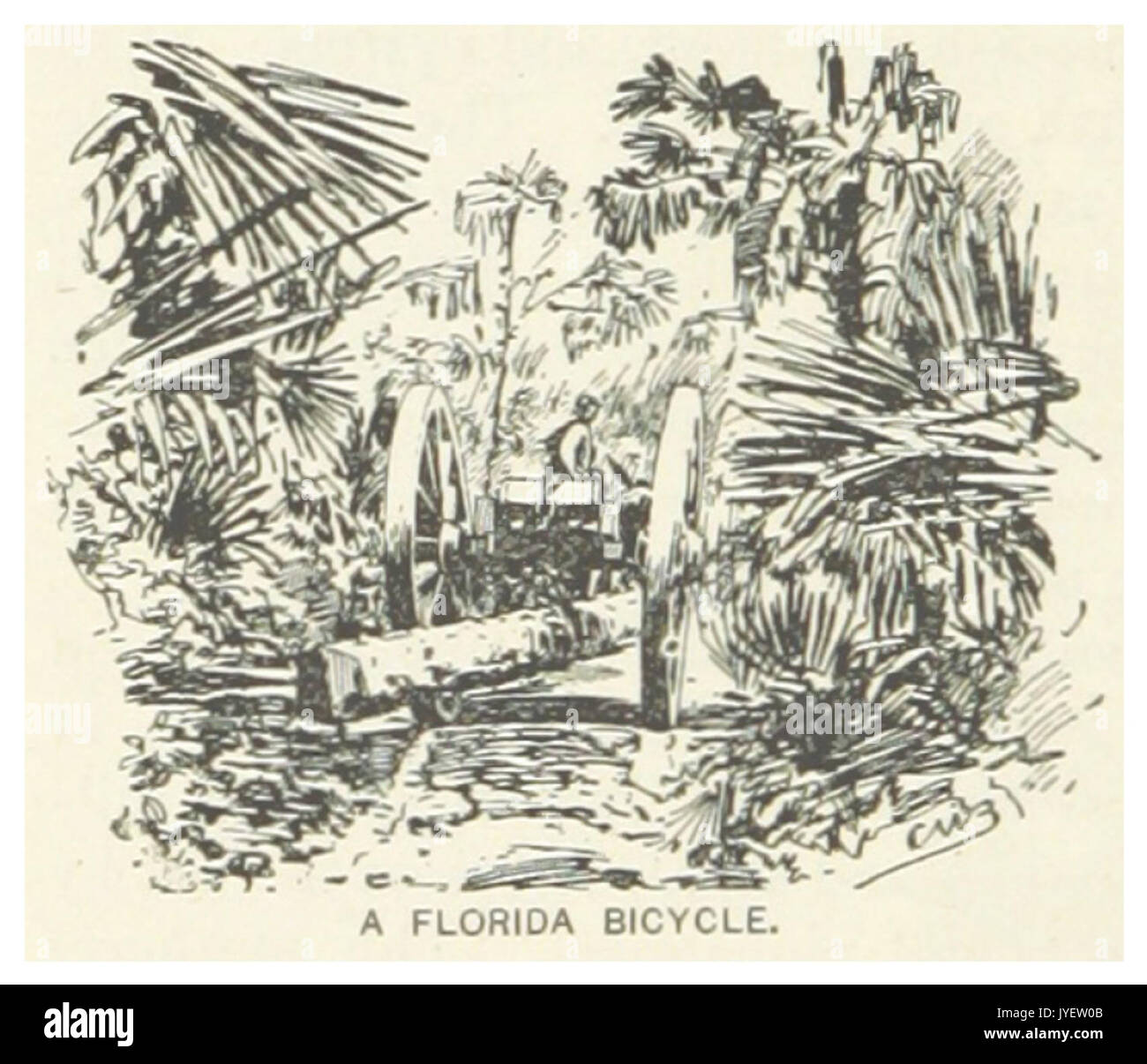 Florida transport Cut Out Stock Images & Pictures - Alamy