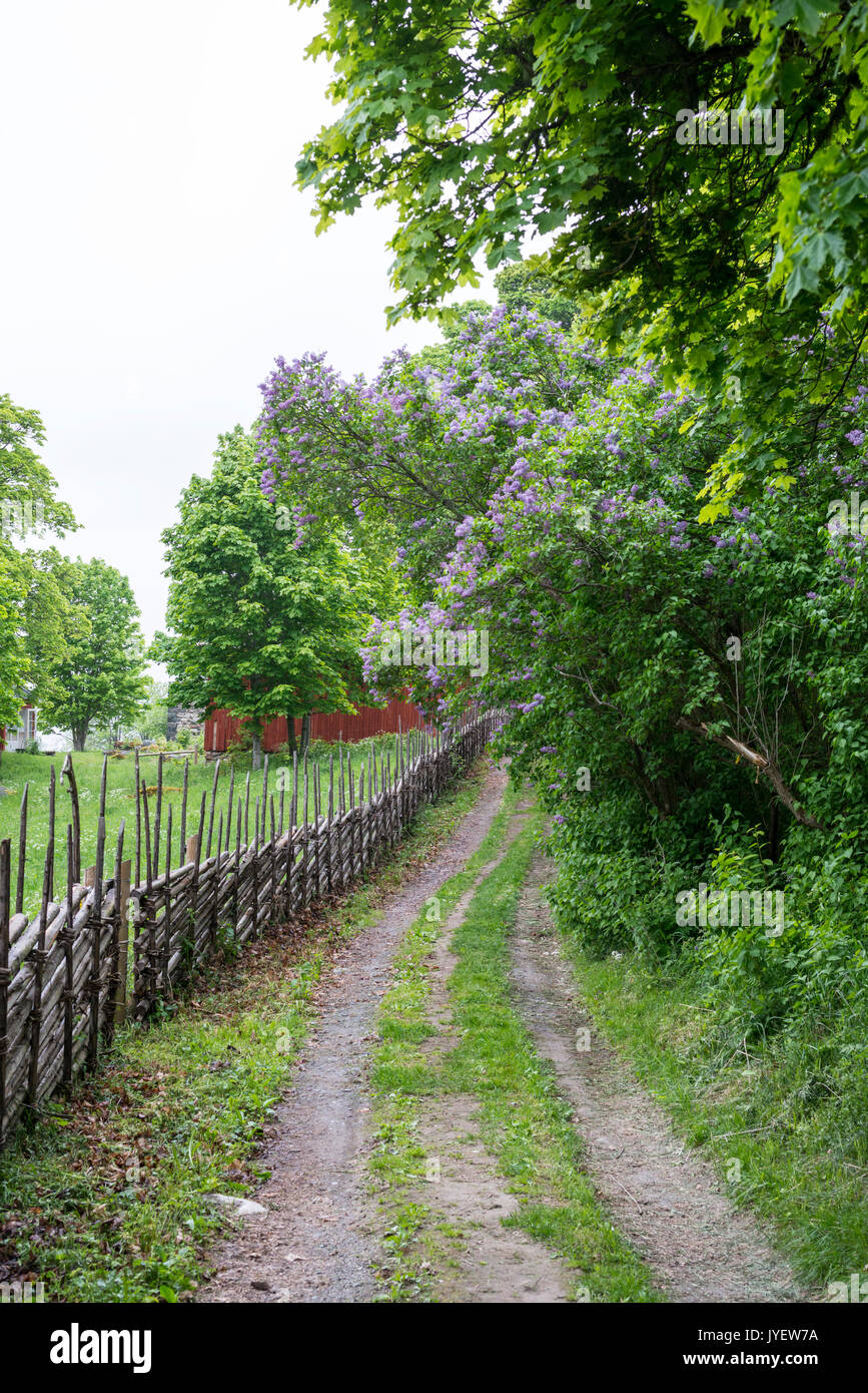Village road and fence, Sweden Stock Photo - Alamy