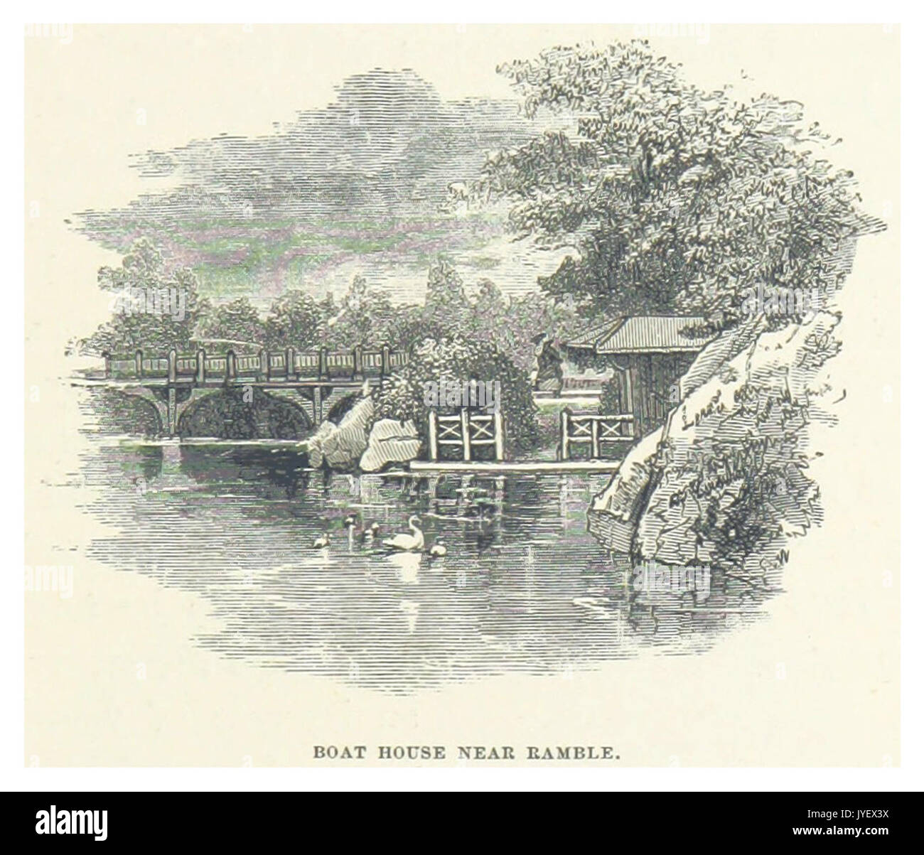 Trees near house Cut Out Stock Images & Pictures - Alamy