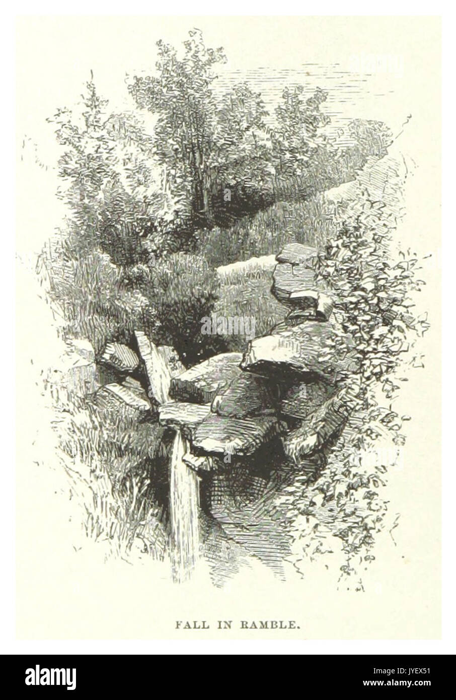 Fall in the city Cut Out Stock Images & Pictures - Alamy