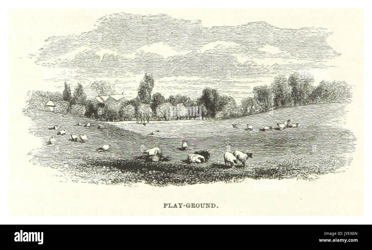 Public recreation ground Cut Out Stock Images & Pictures - Alamy