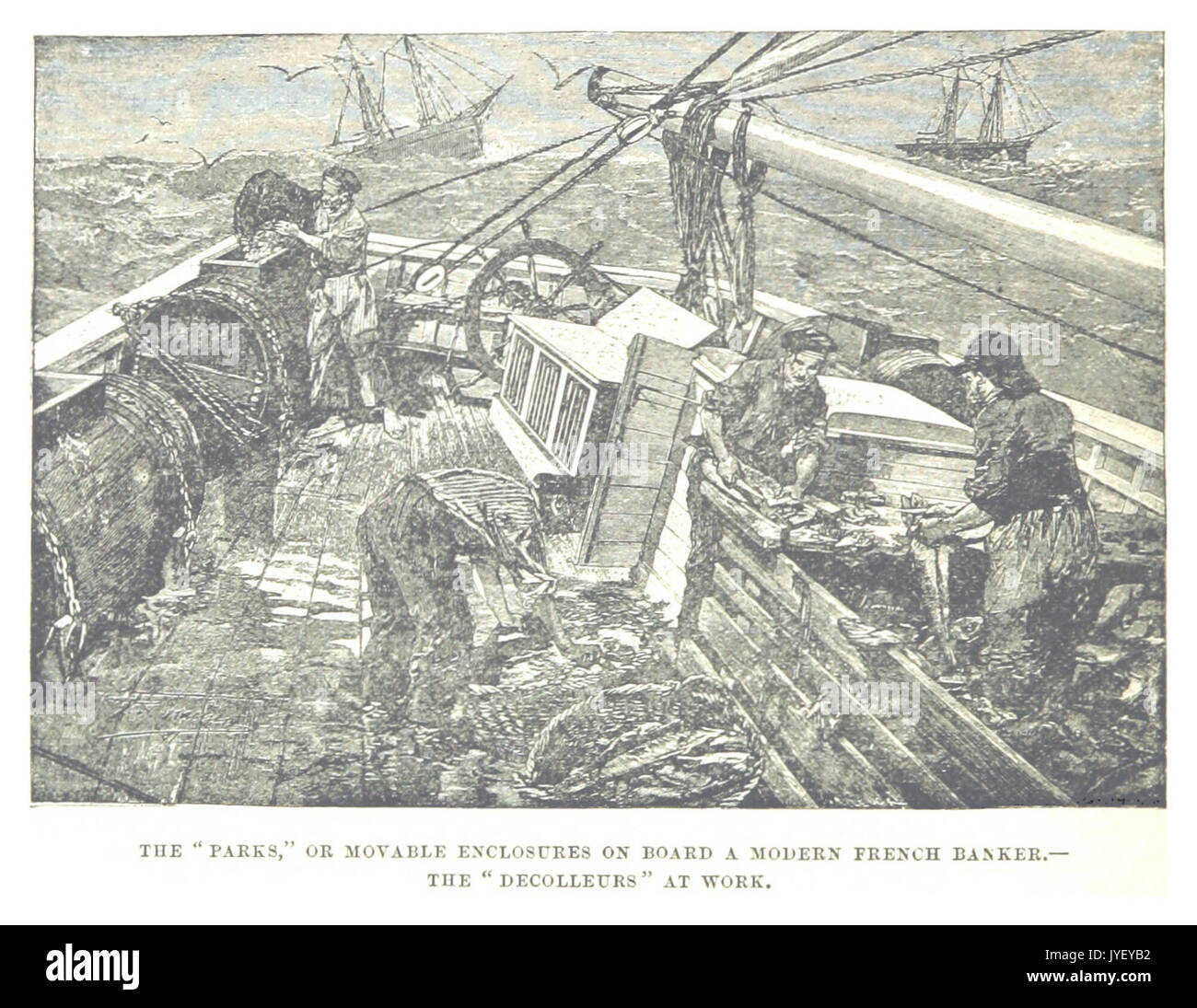 PROWSE(1895) Newfoundland, p654 ON BOARD A MODERN FRENCH BANKER ...