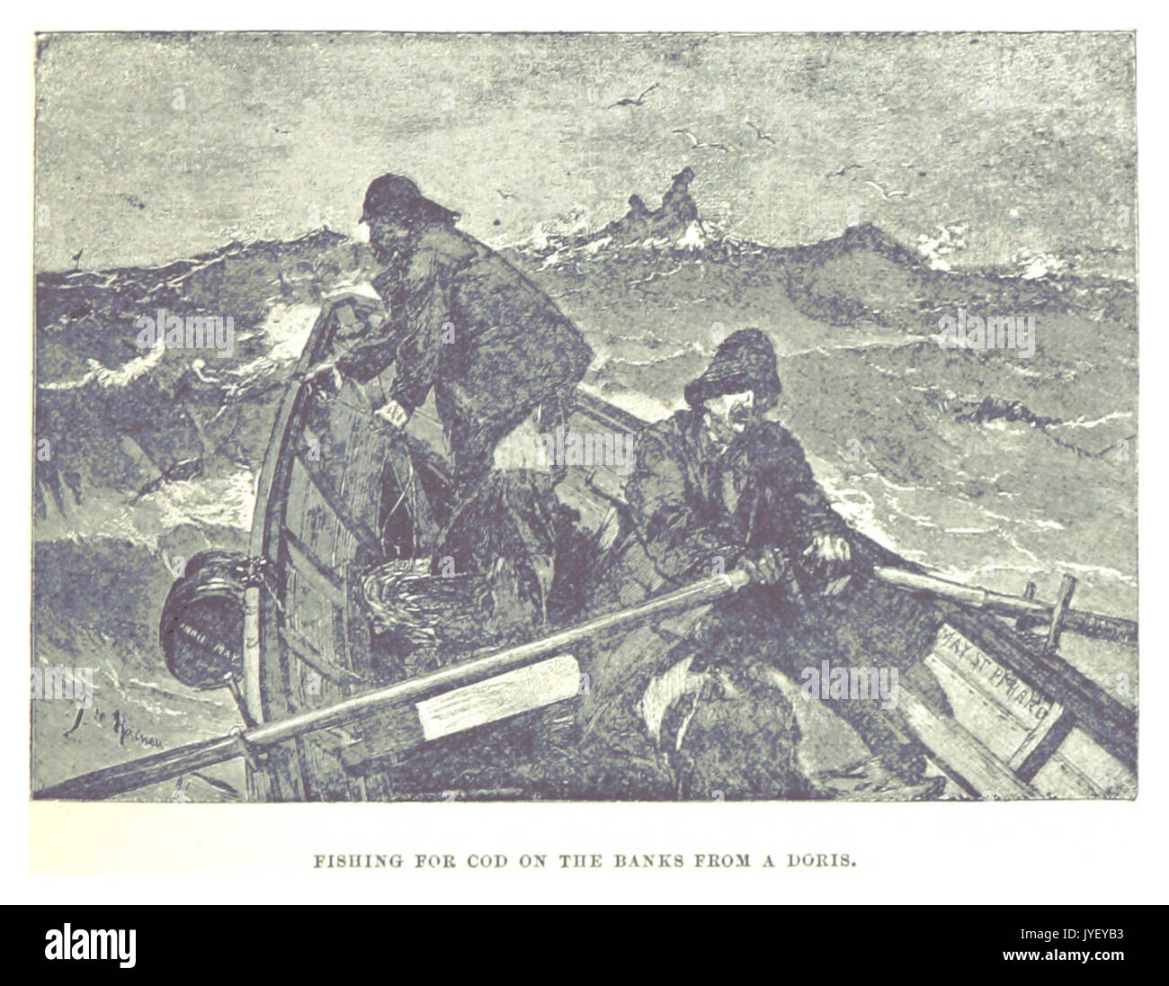 Newfoundland cod fishing Cut Out Stock Images & Pictures - Alamy