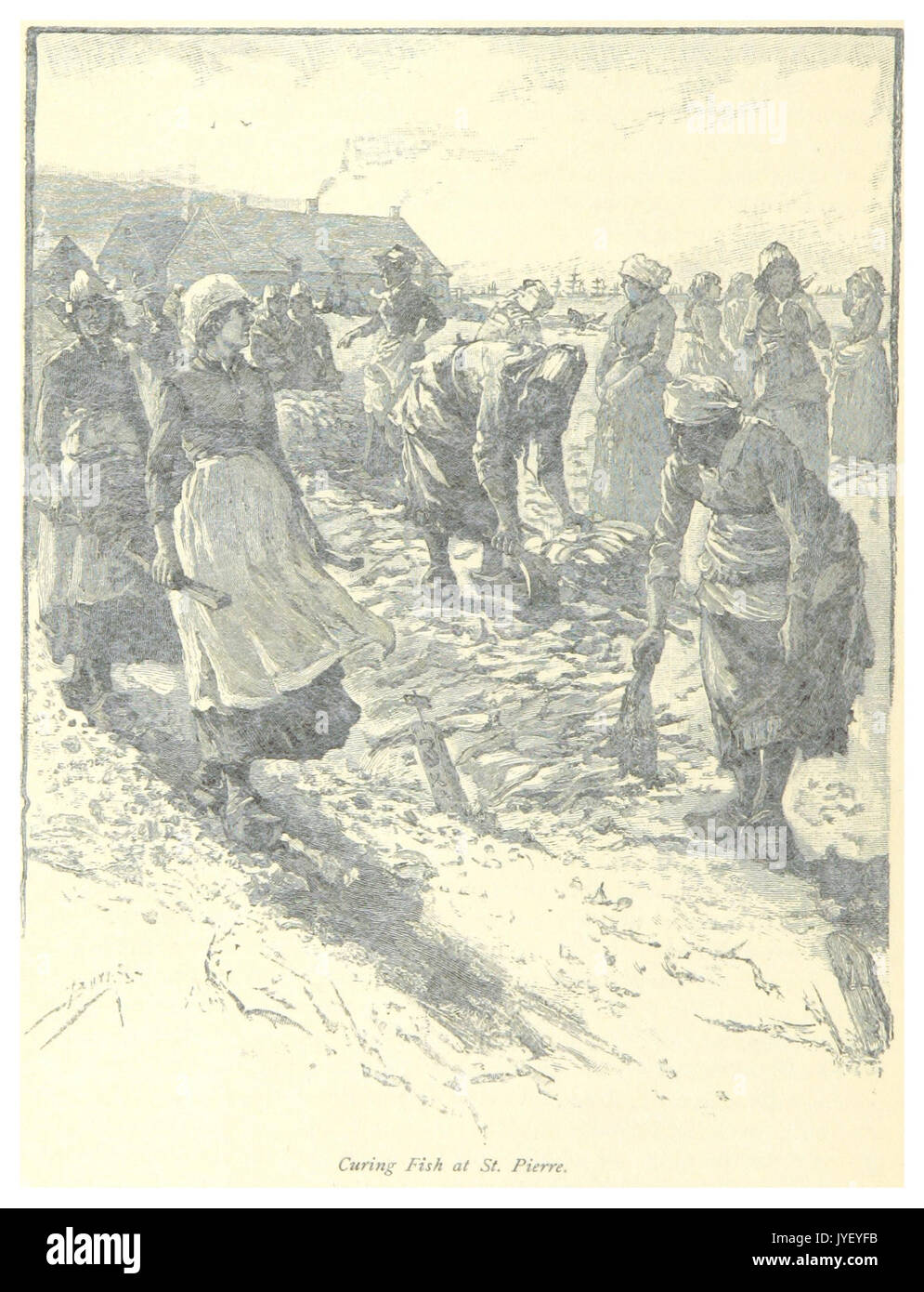 Fish curing method hi-res stock photography and images - Alamy