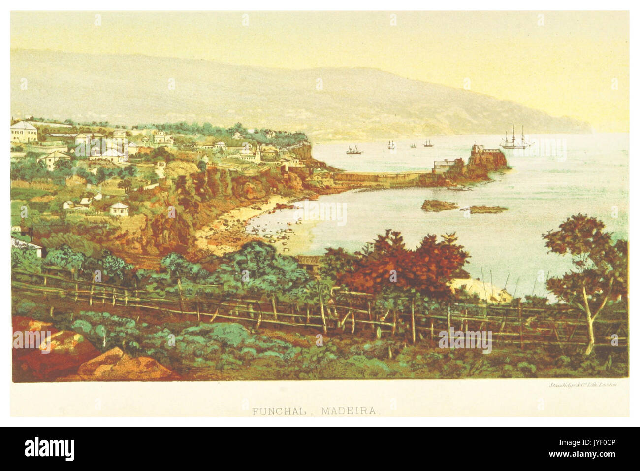 B(1871) p023 FUNCHAL, MADEIRA Stock Photo - Alamy