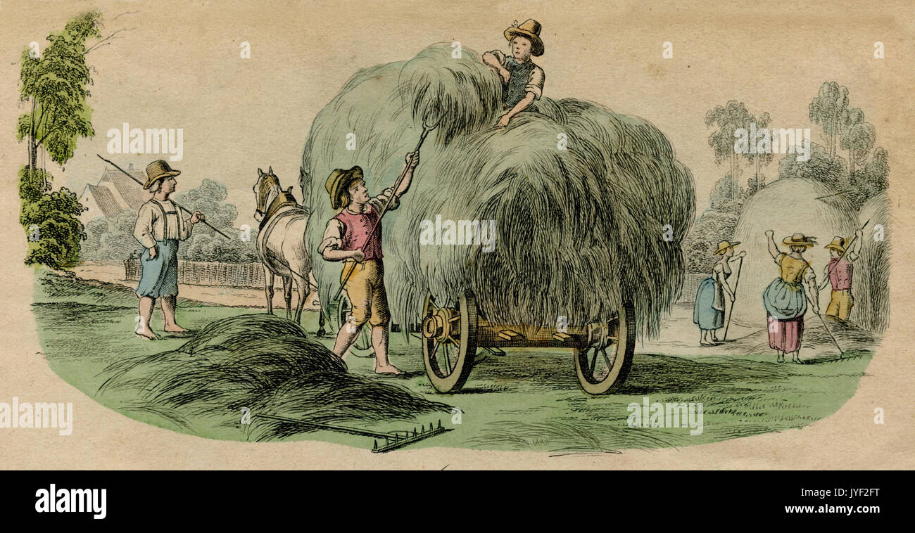 loading the hay wagons, hay making Stock Photo - Alamy