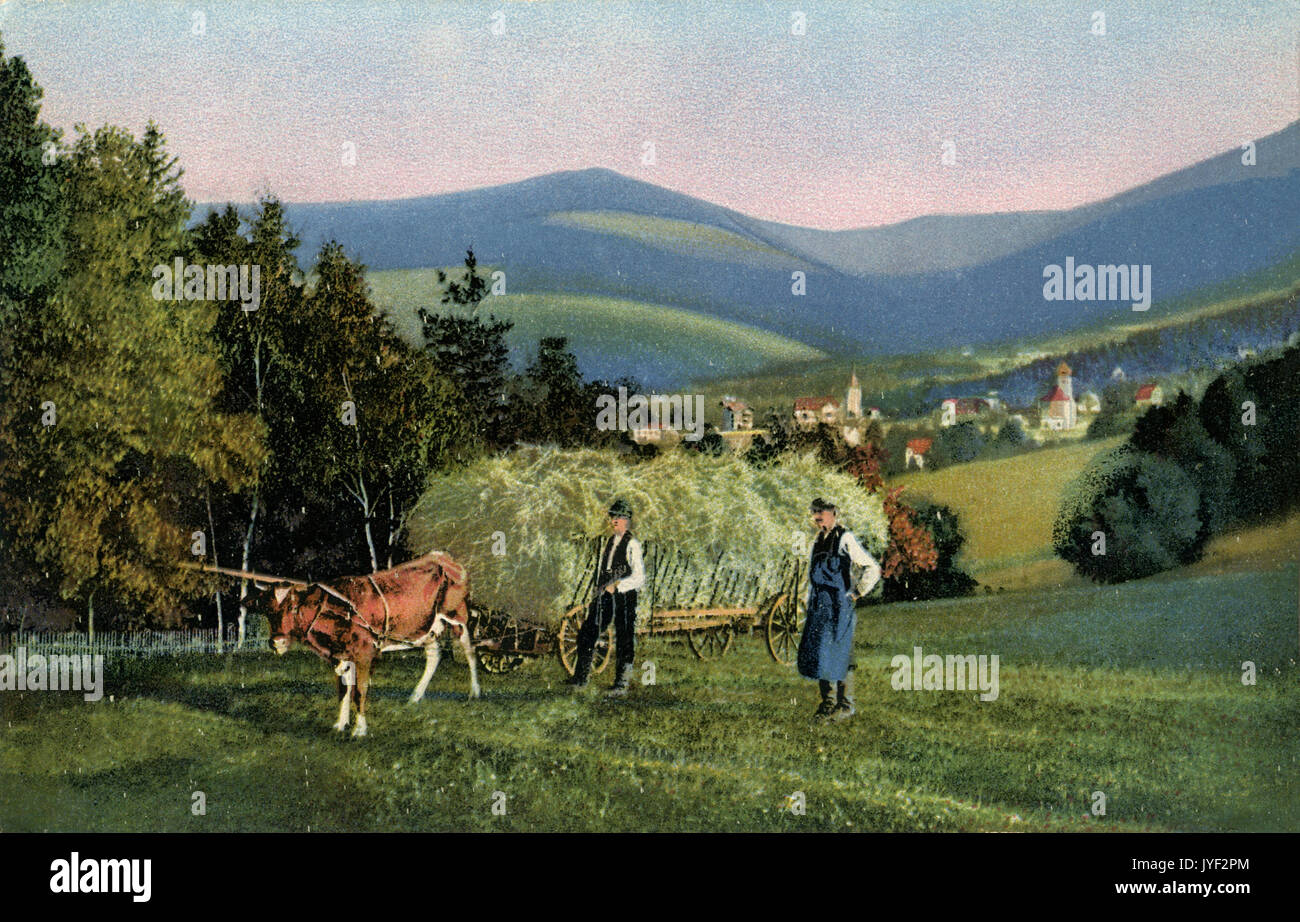 loading the hay wagons, hay making Stock Photo - Alamy