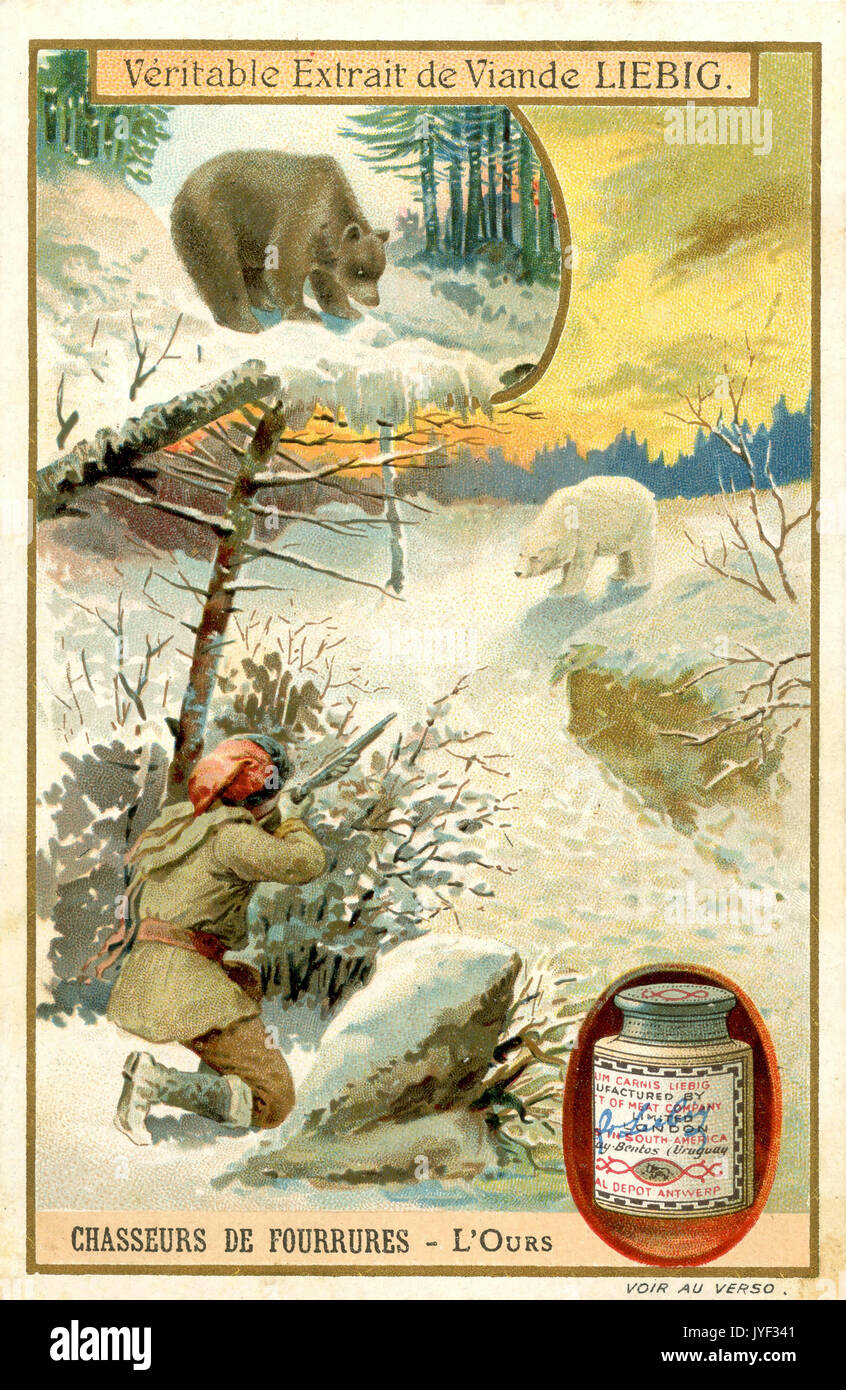 Fur hunting on bears Stock Photo - Alamy