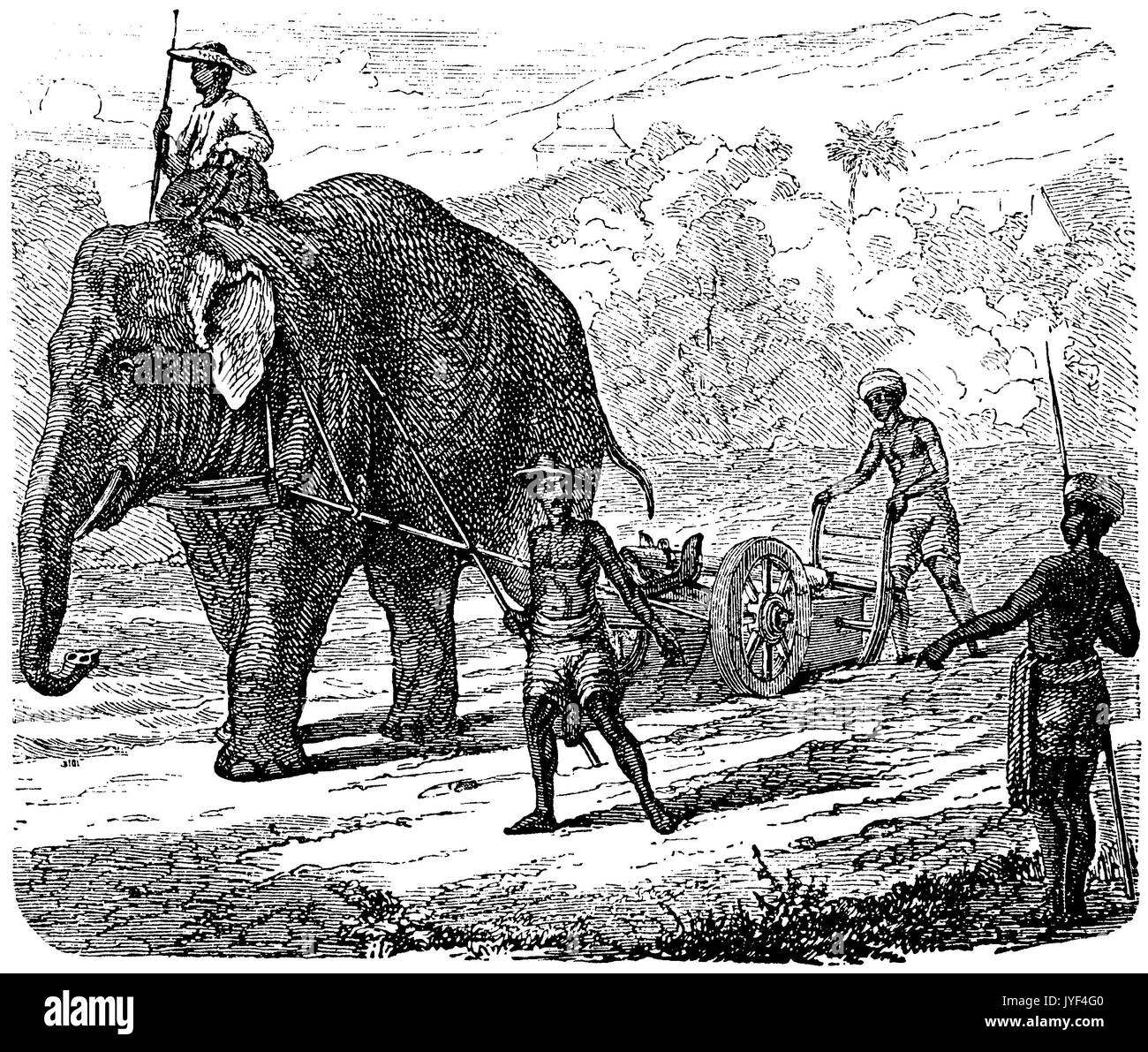 Indian soil cultivation in the 19th century, elephant pulling plow ...
