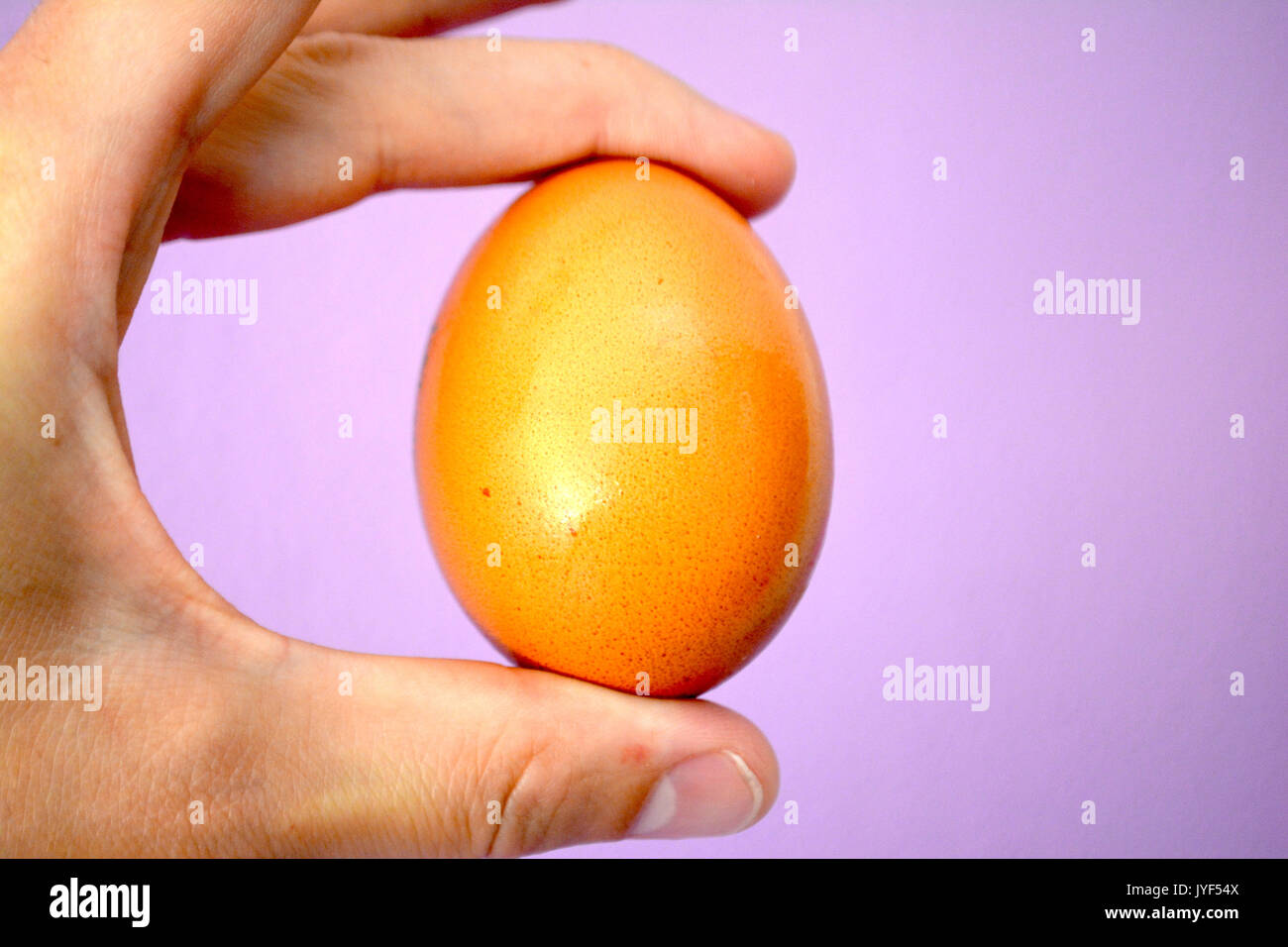 Egg in hand Stock Photo - Alamy