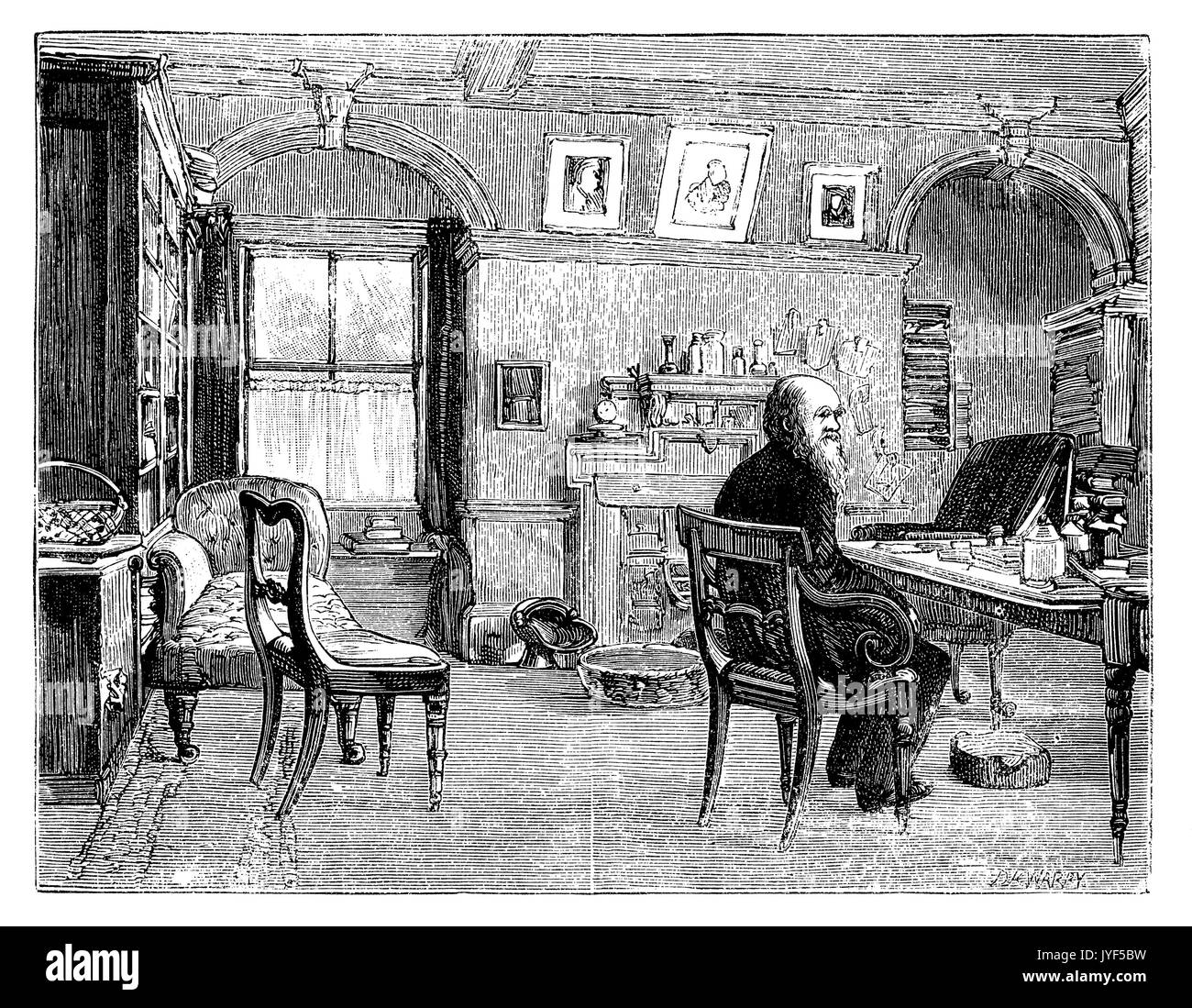 Charles darwin drawing hi-res stock photography and images - Alamy