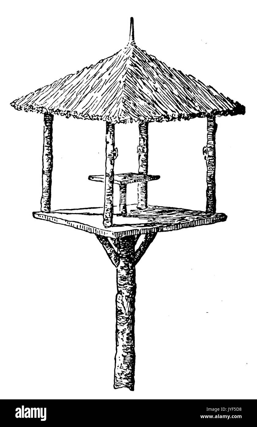 Birdhouse drawing Cut Out Stock Images & Pictures - Alamy